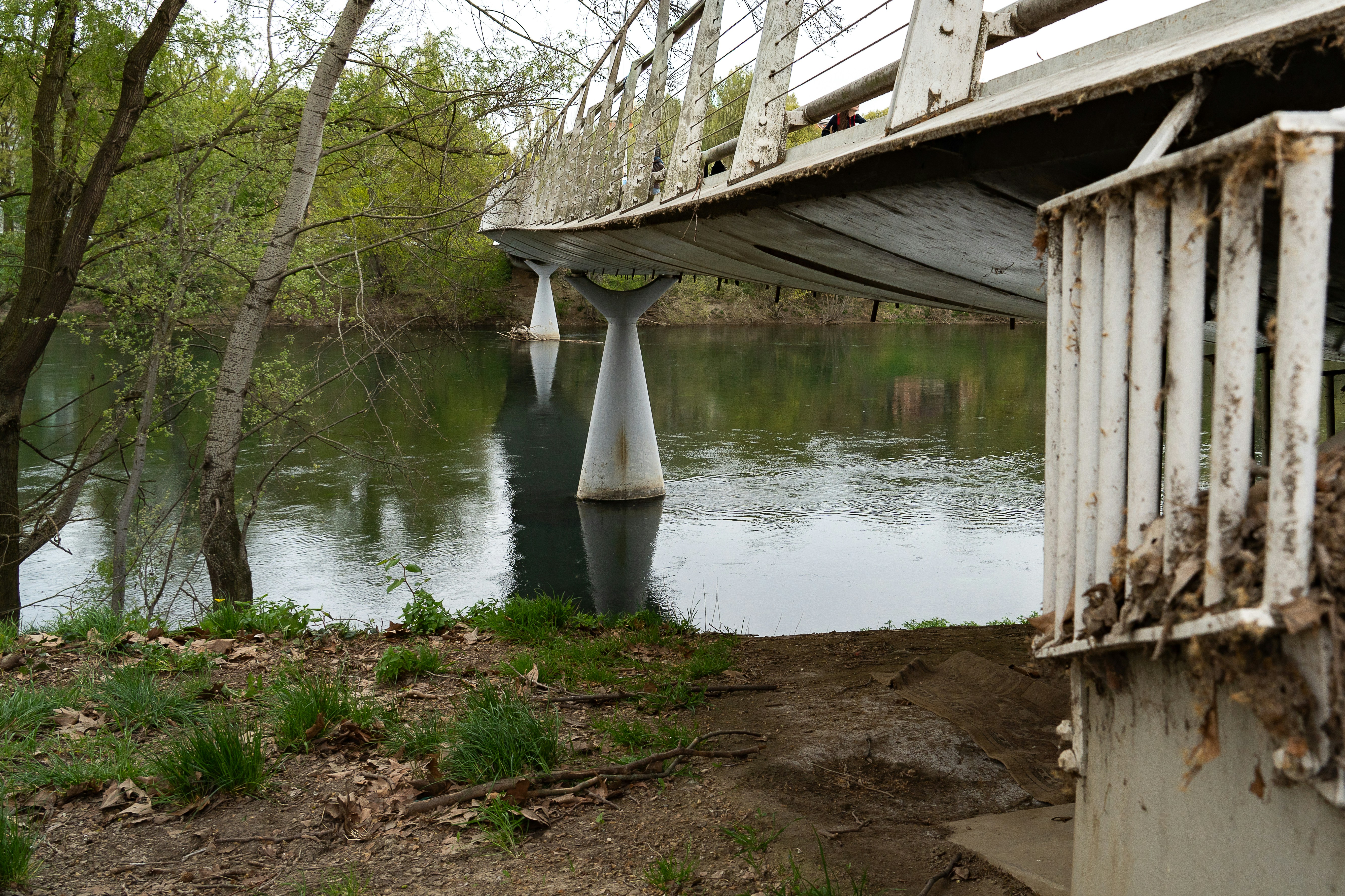 Bridge Shadows Over Quiet Riverbank
