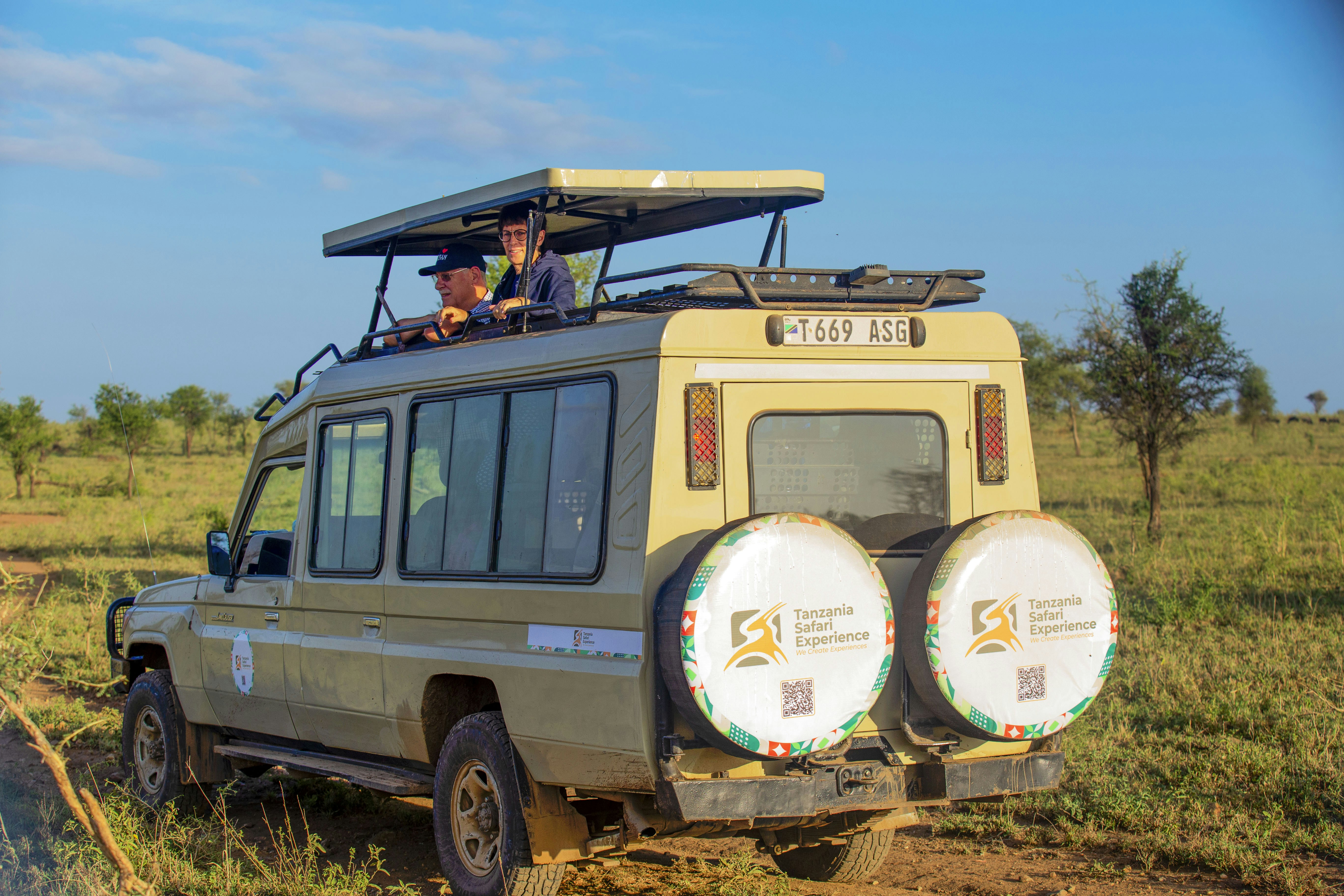 Safari Sentinel: The Open-Topped Vehicle Guides a Golden Landscape