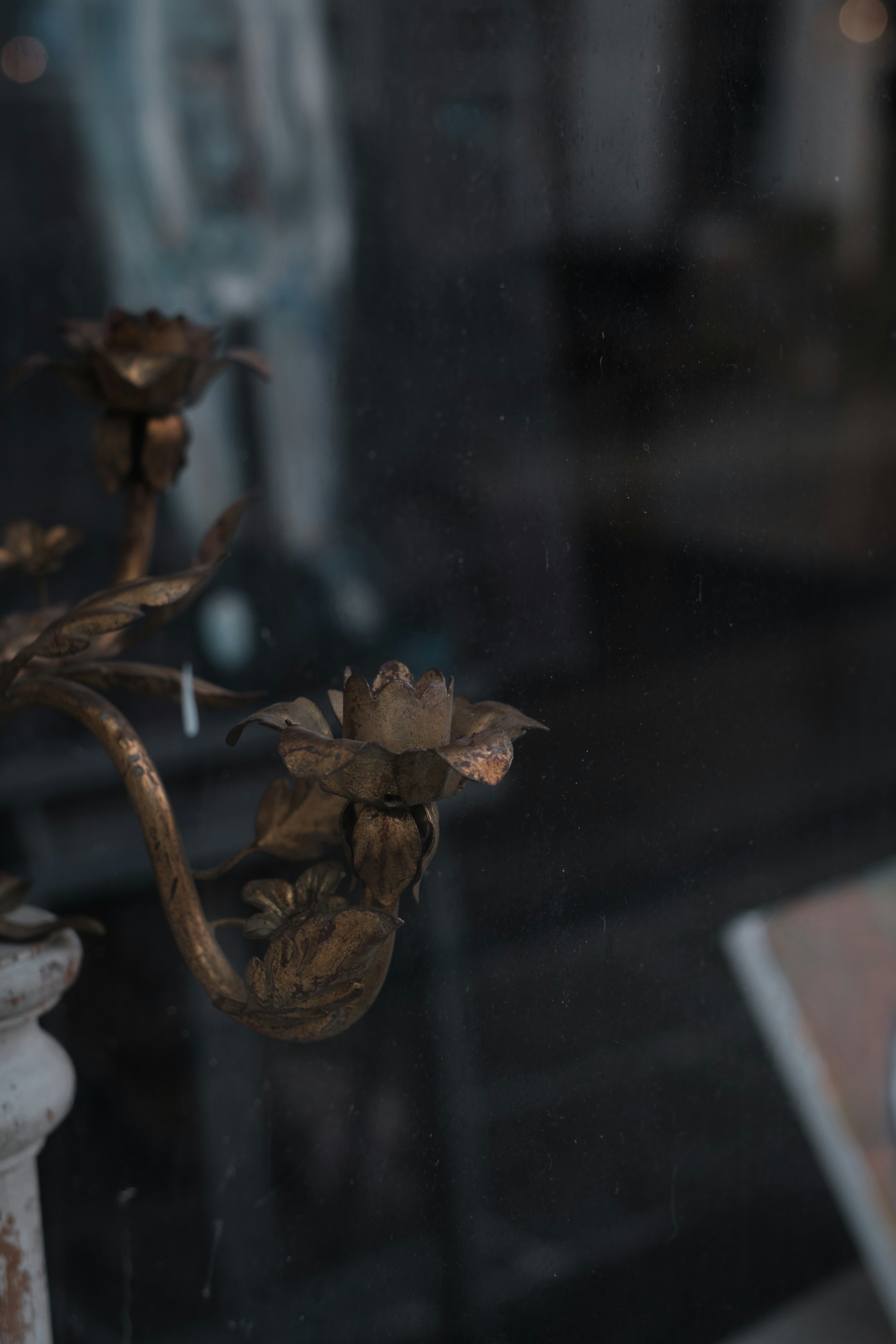 Rusting Bouquet: A Quiet Moment of Decay on Feint Ironwork