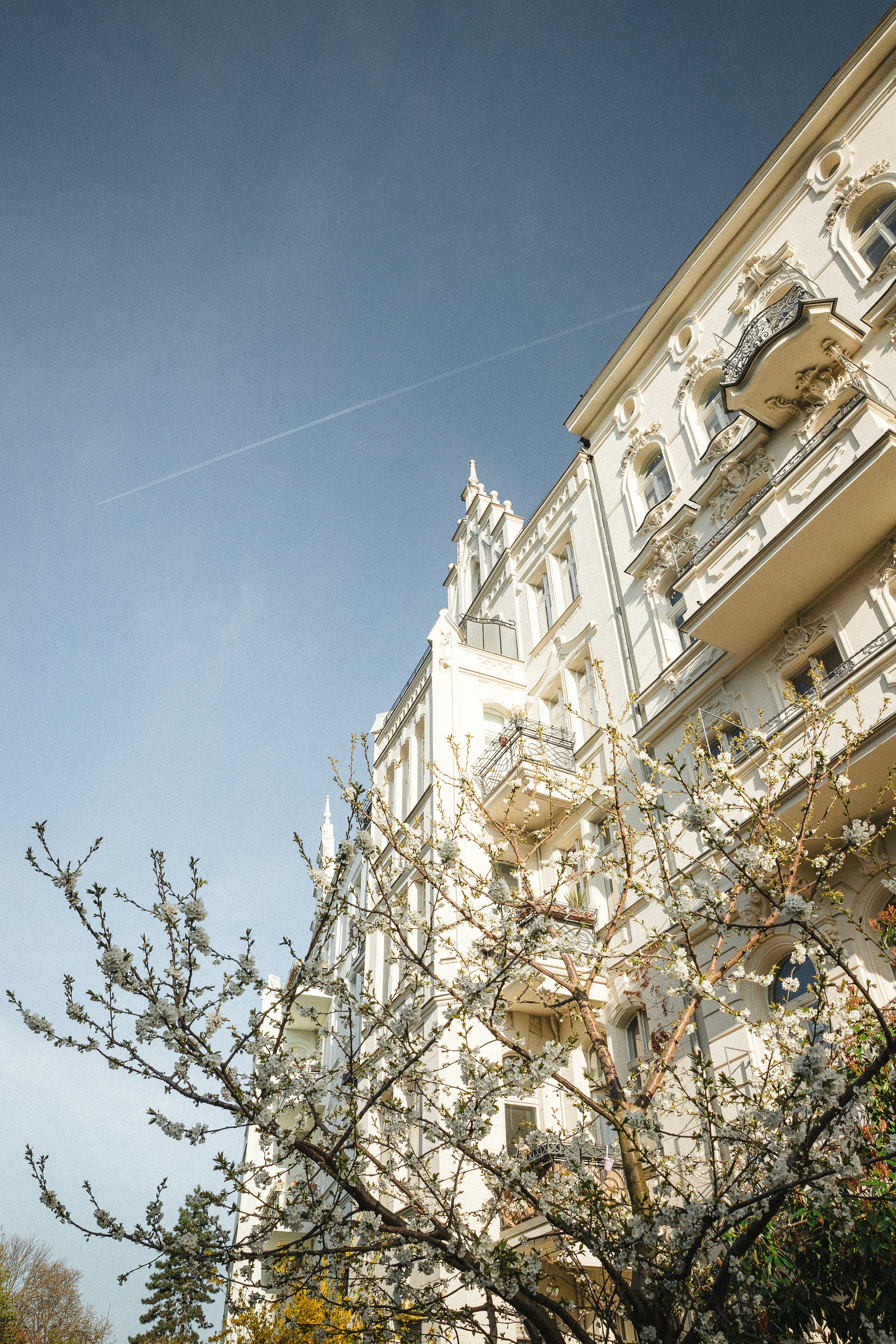 Sunlit Facade and Blossoms: A European Terrace Awakens