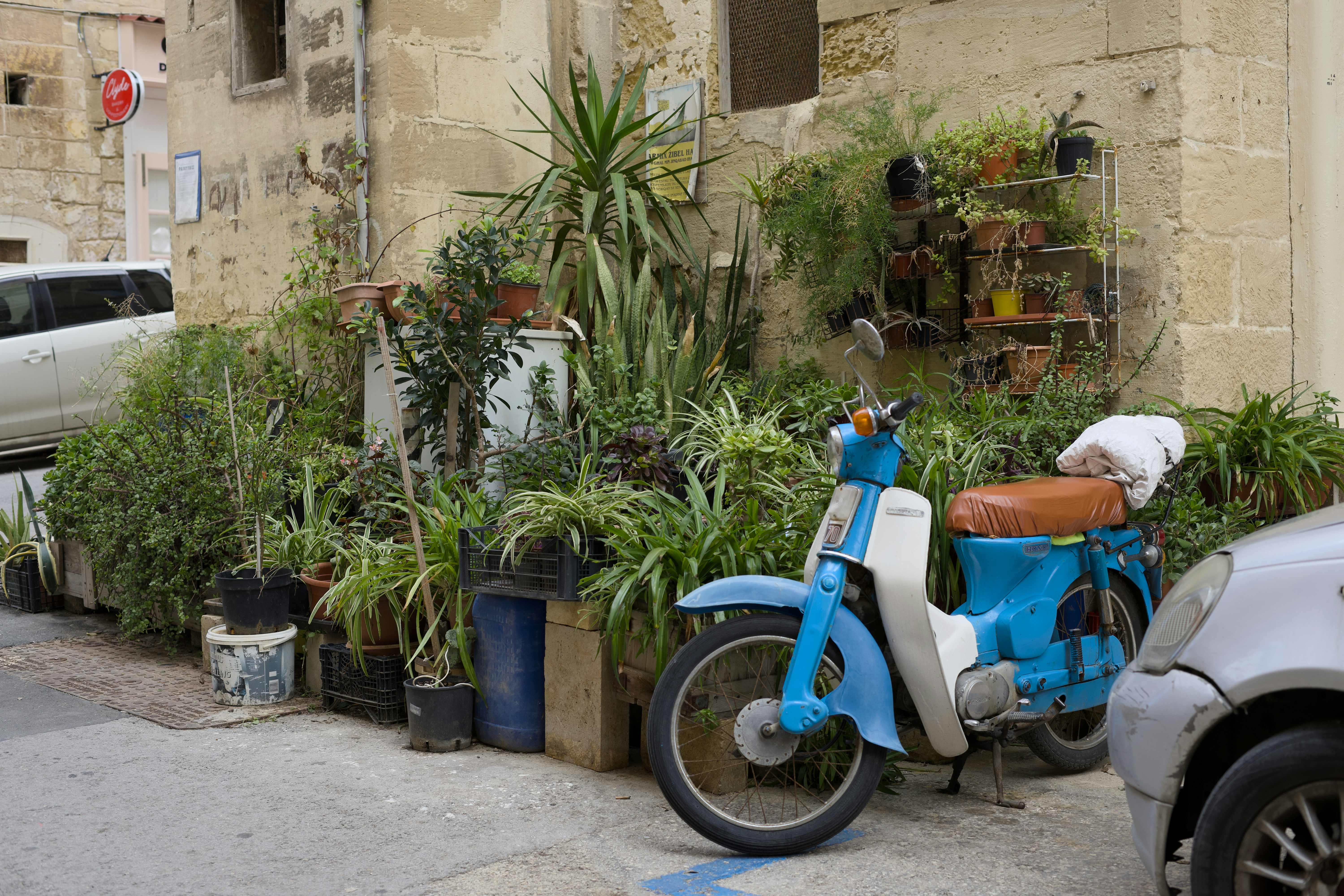 Blue Moto Oasis: A Quiet Alleyfront Filled with Greenery and a Bright Scooter
