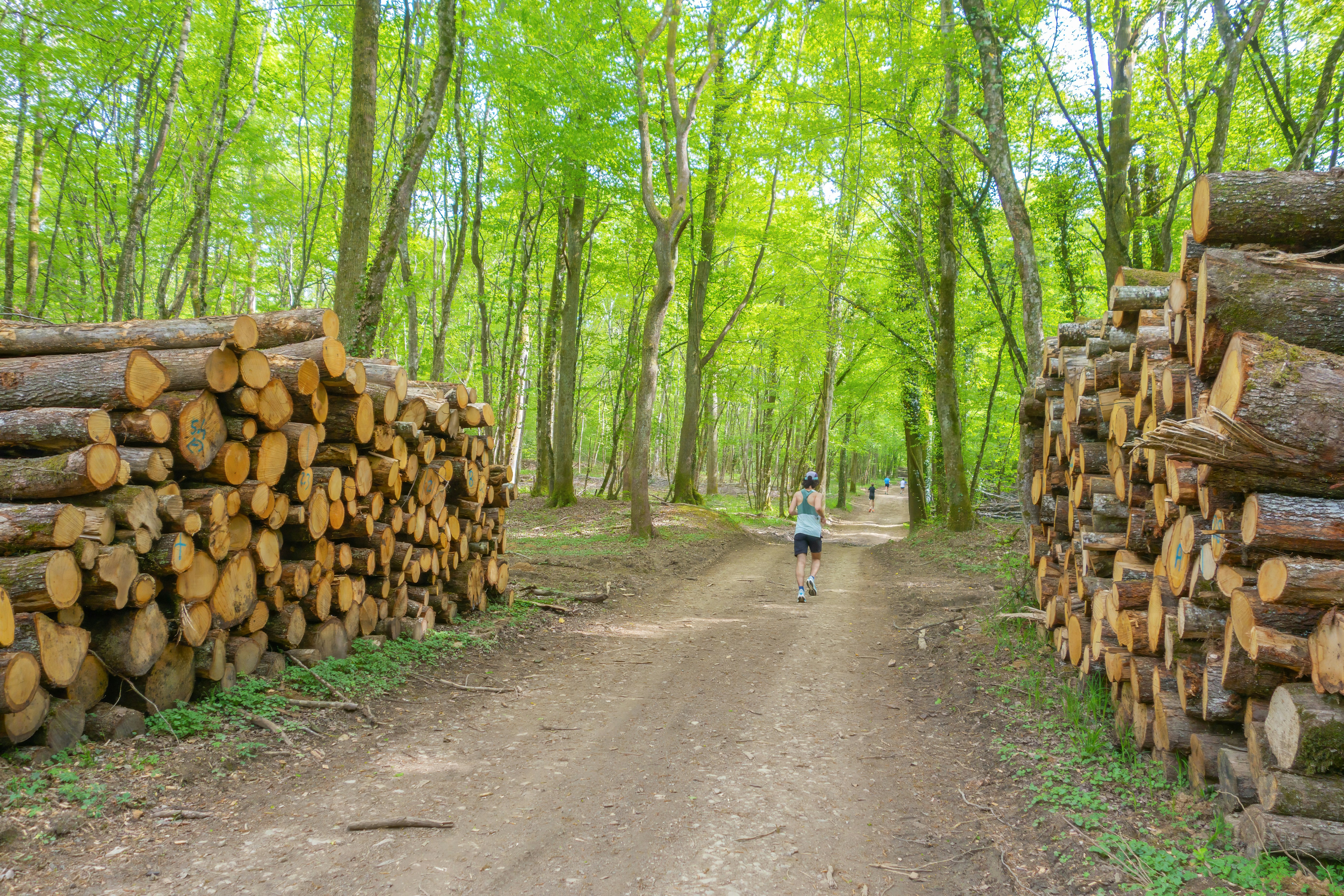 Runner in a Narrow Forest Corridor Between Stacked Logs