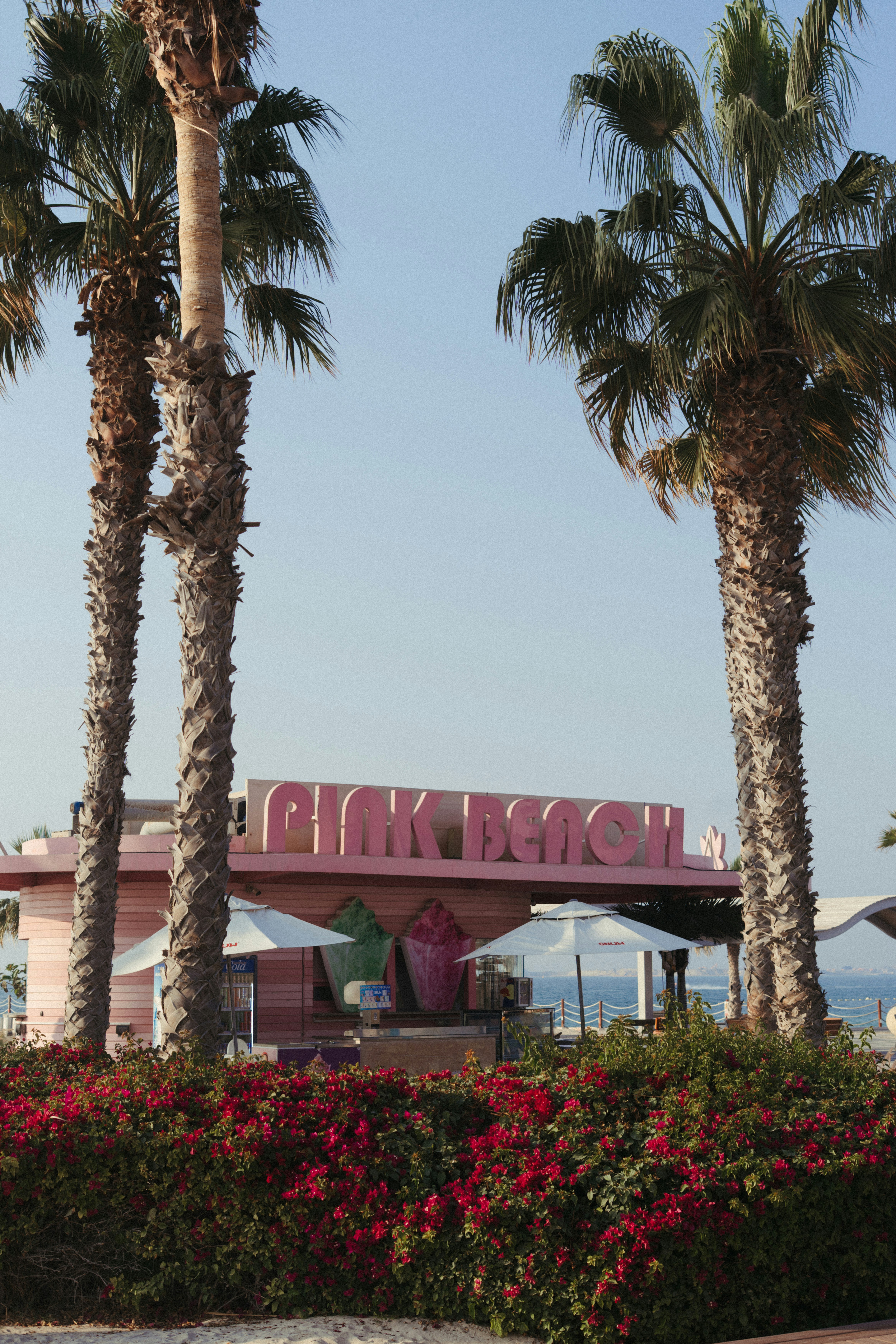 Pink Beach Diner Under Palms