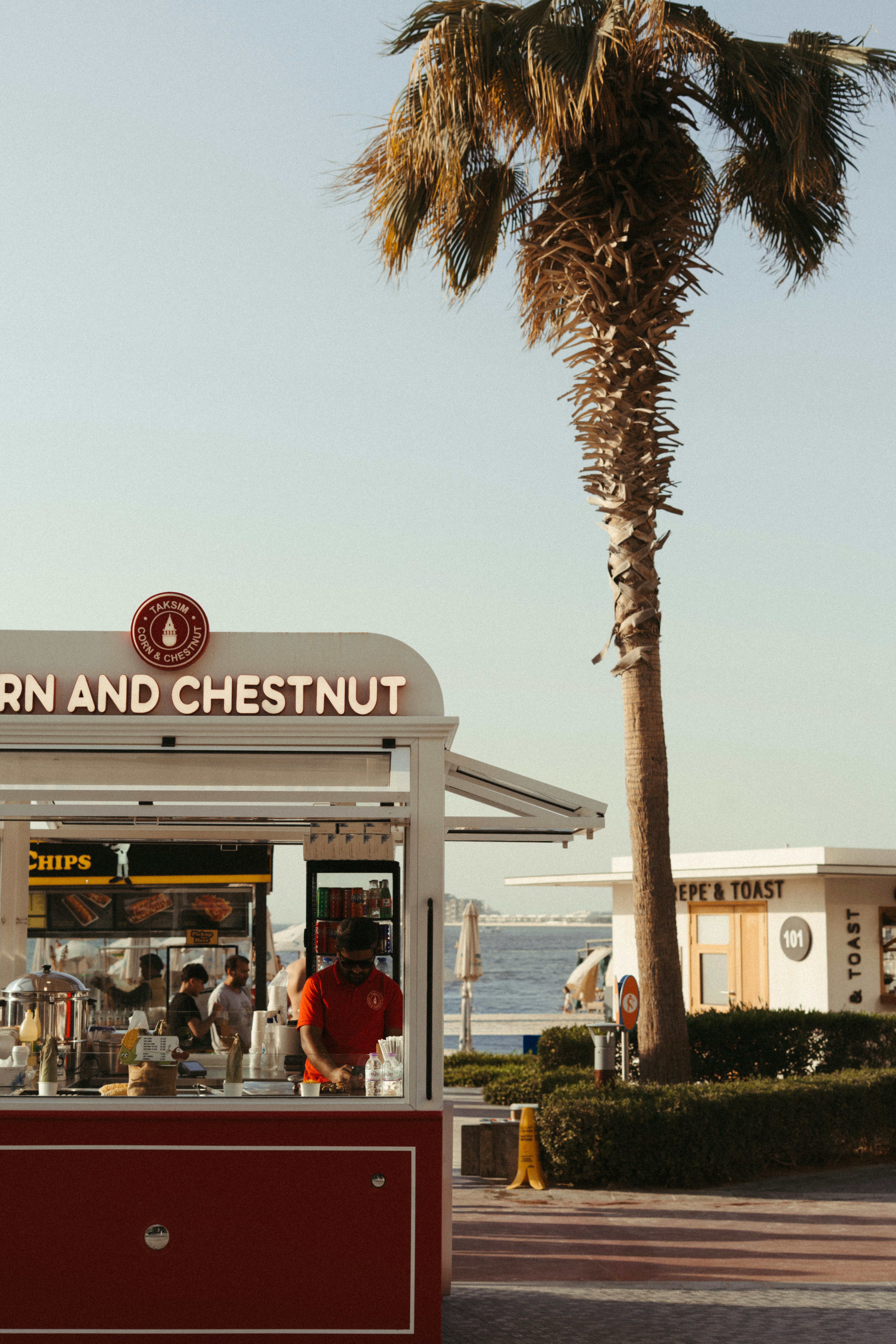 Coastal Snack Stand Under a Palm Shadow