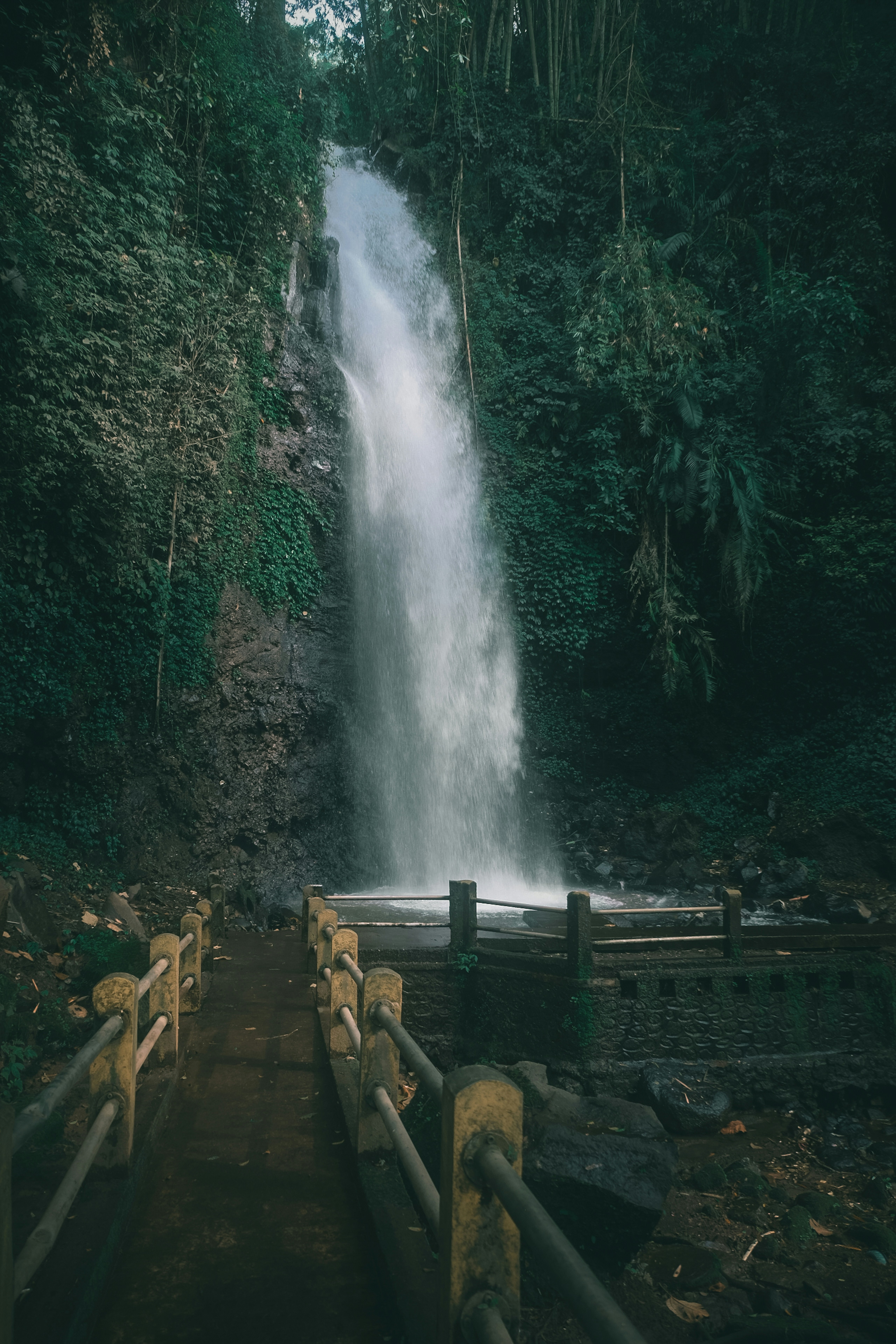 Waterfall Corridor: A Mossy Path Framing the Northern Veil