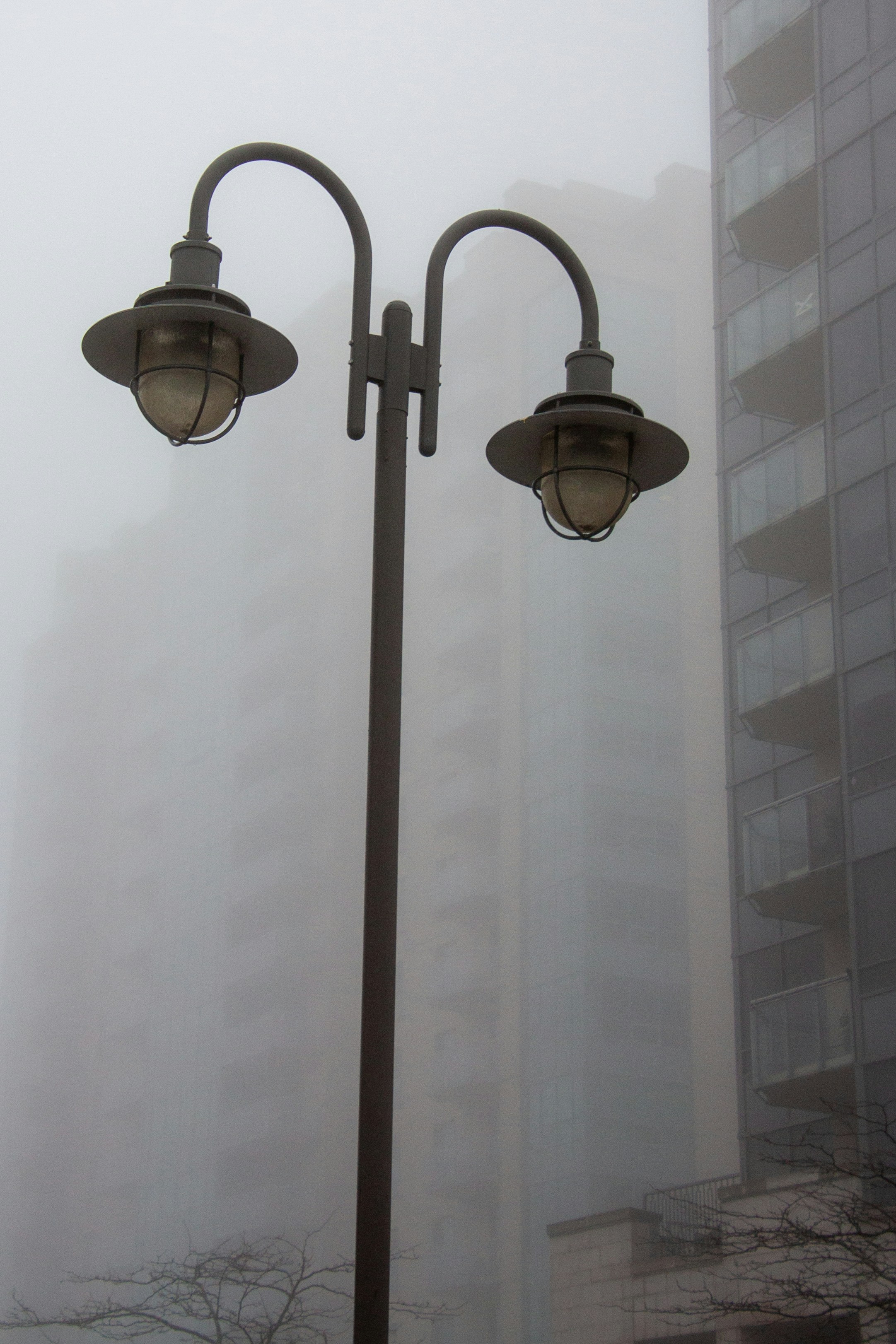 Fogbound Street Lamps Embrace a Skyward City