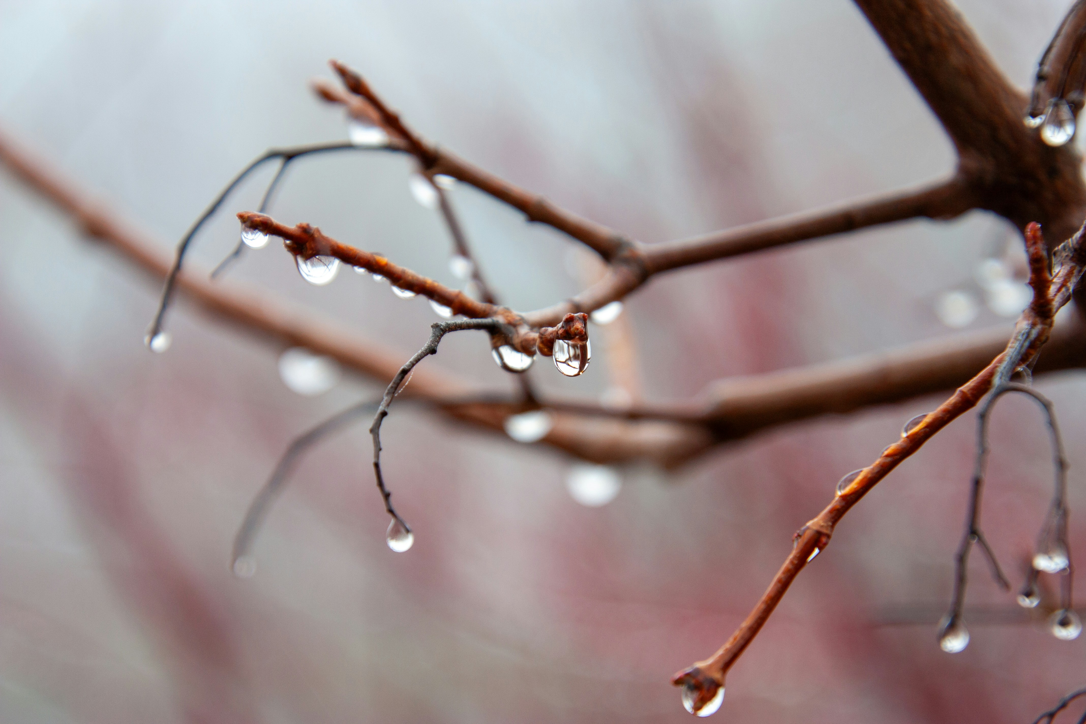 Liquid Gems on Winter Threads