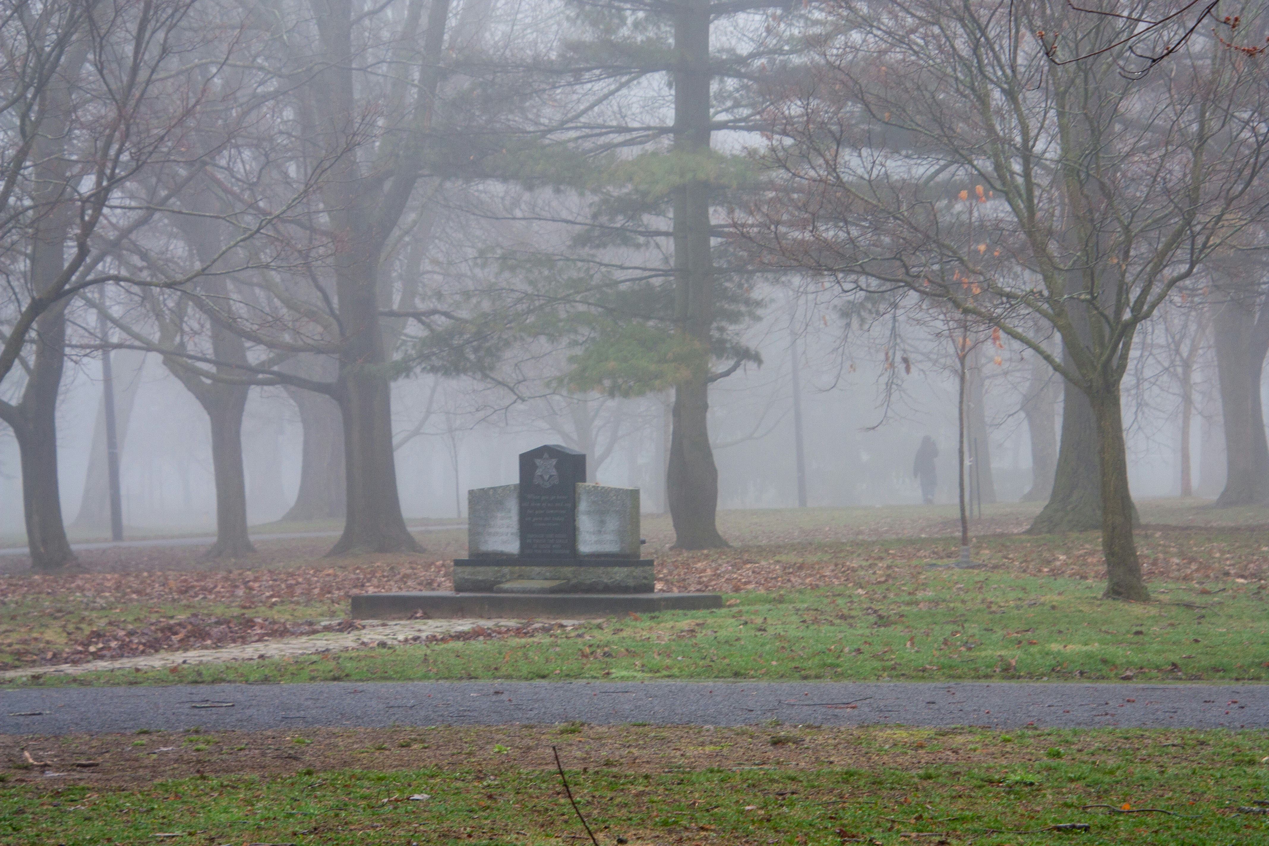 Fog-Wrapped Memorial in an Autumn Park