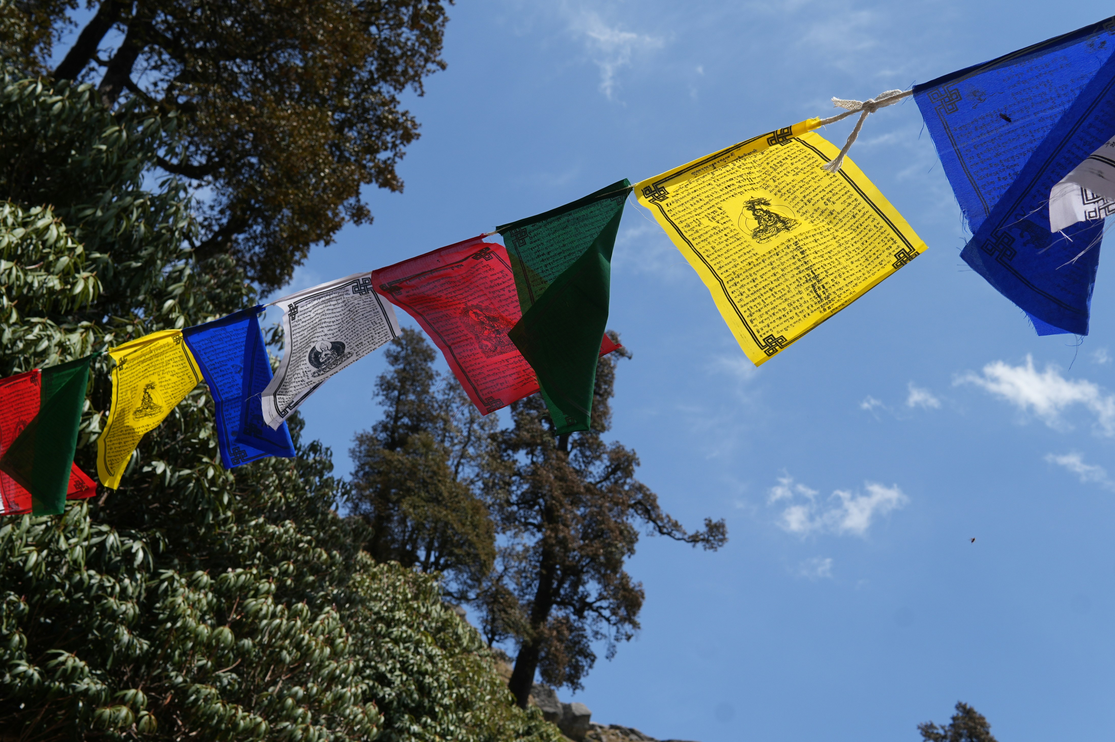 Colorful prayer flags drift over a sunlit path