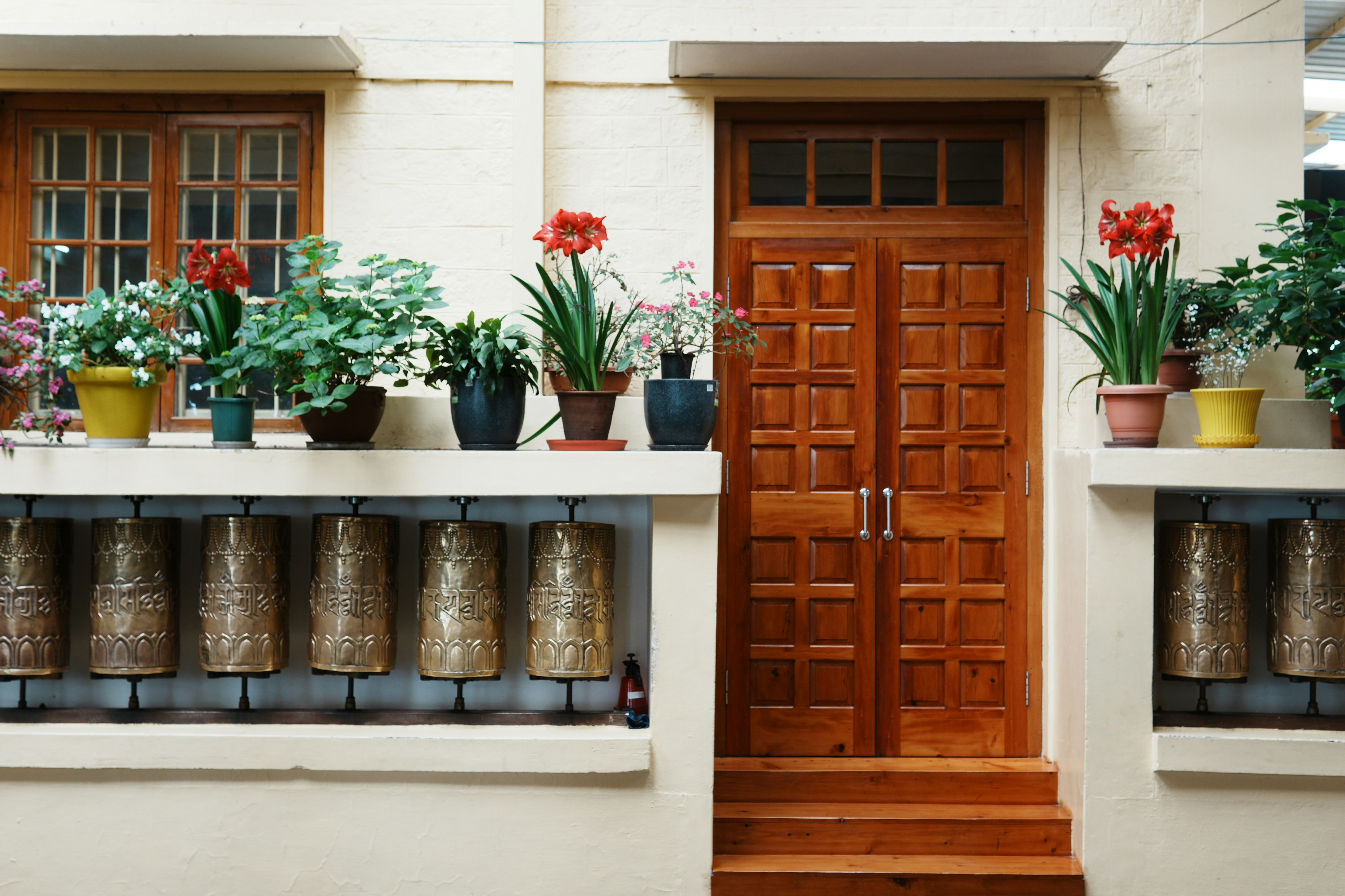 Terracotta Doorway Symphony: A Row of Potted Life