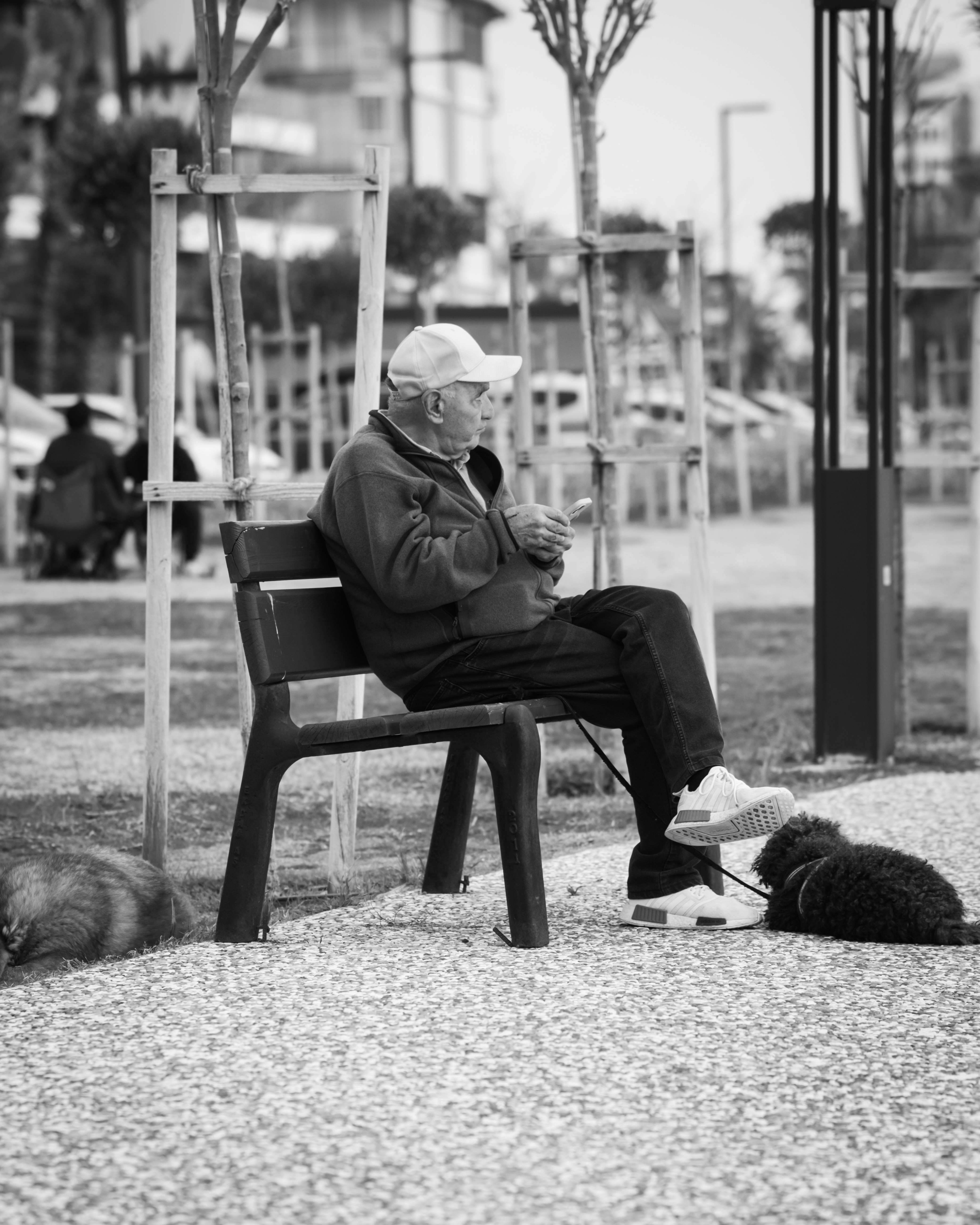 Solitary Quiet: An Elderly Man Soothes with a Threadbare Moment