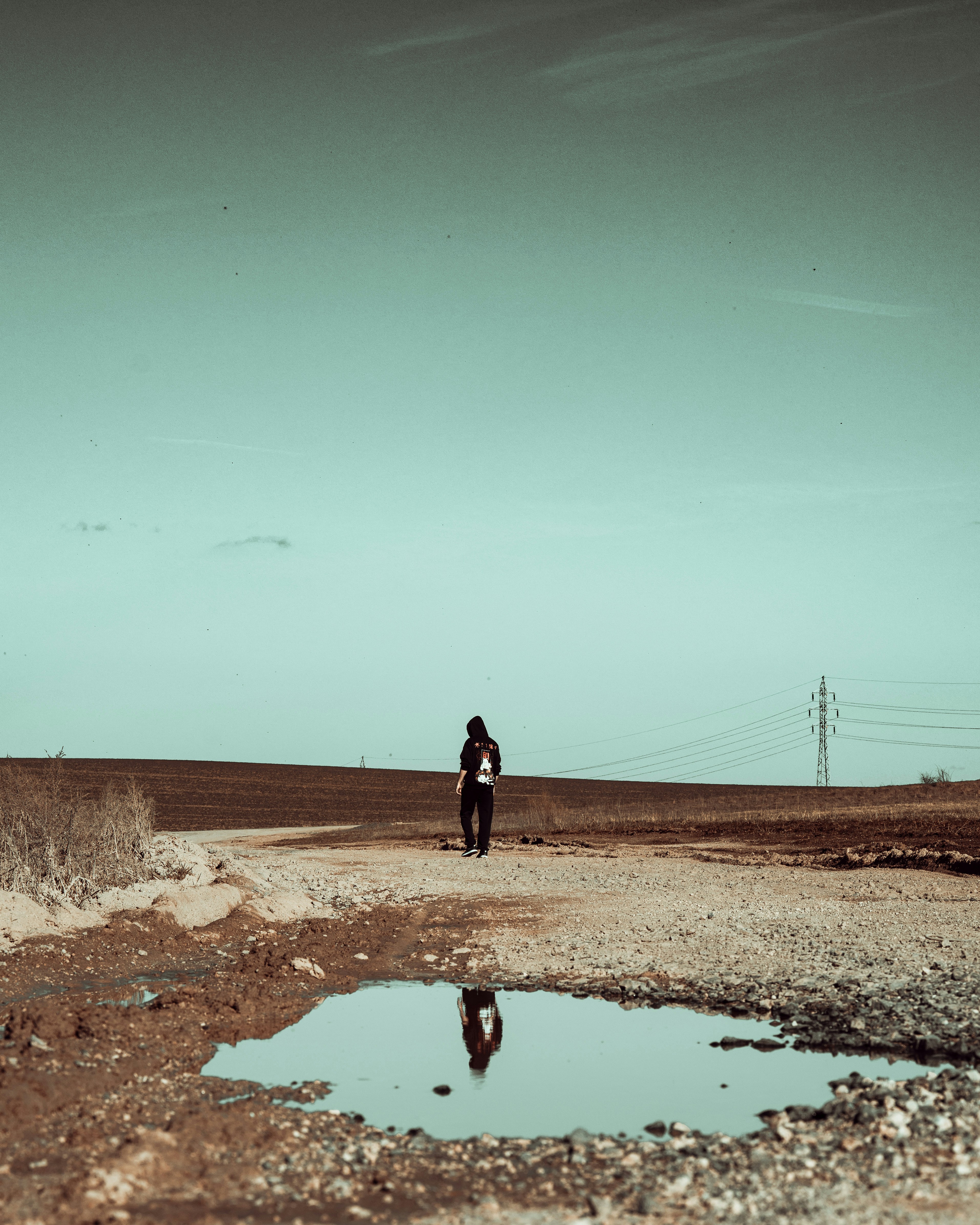 Lonely Traveler at the Edge of the Horizon