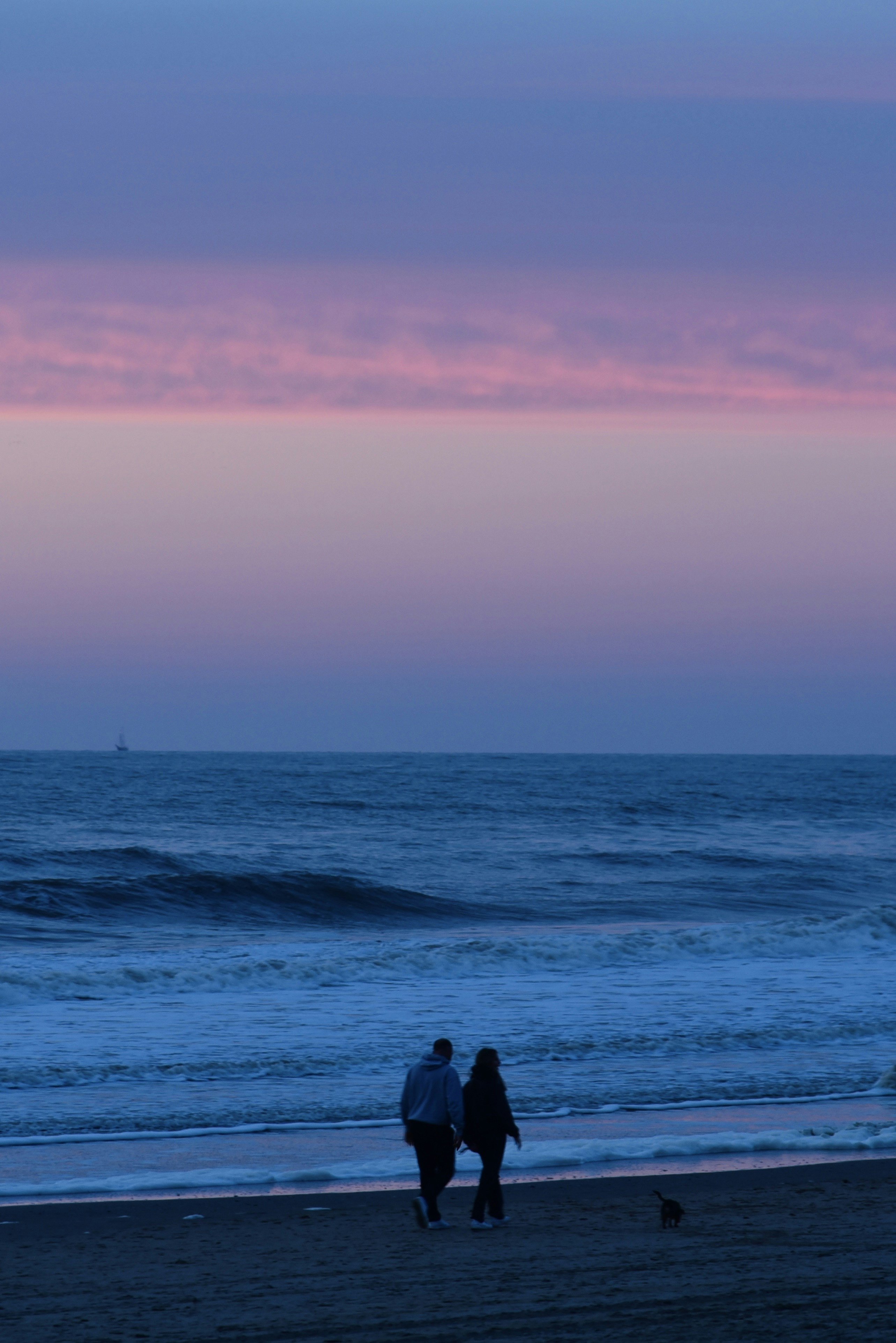Evening Stroll by the Velvet Sea