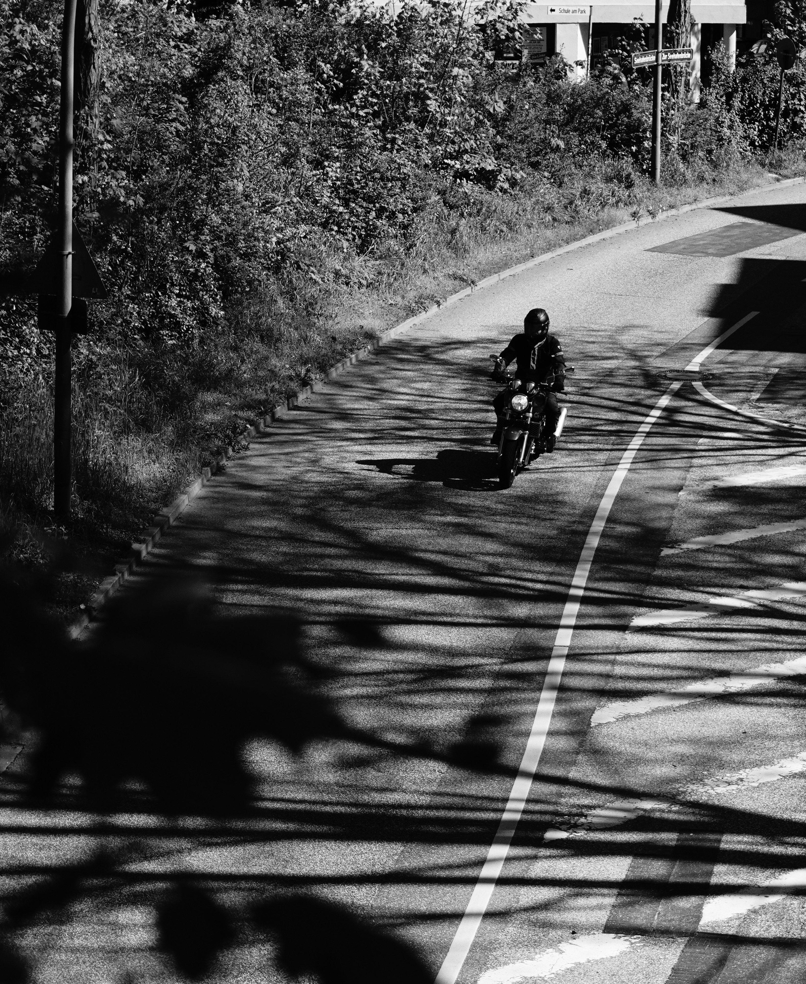 Roving Rider in Dappled Shade