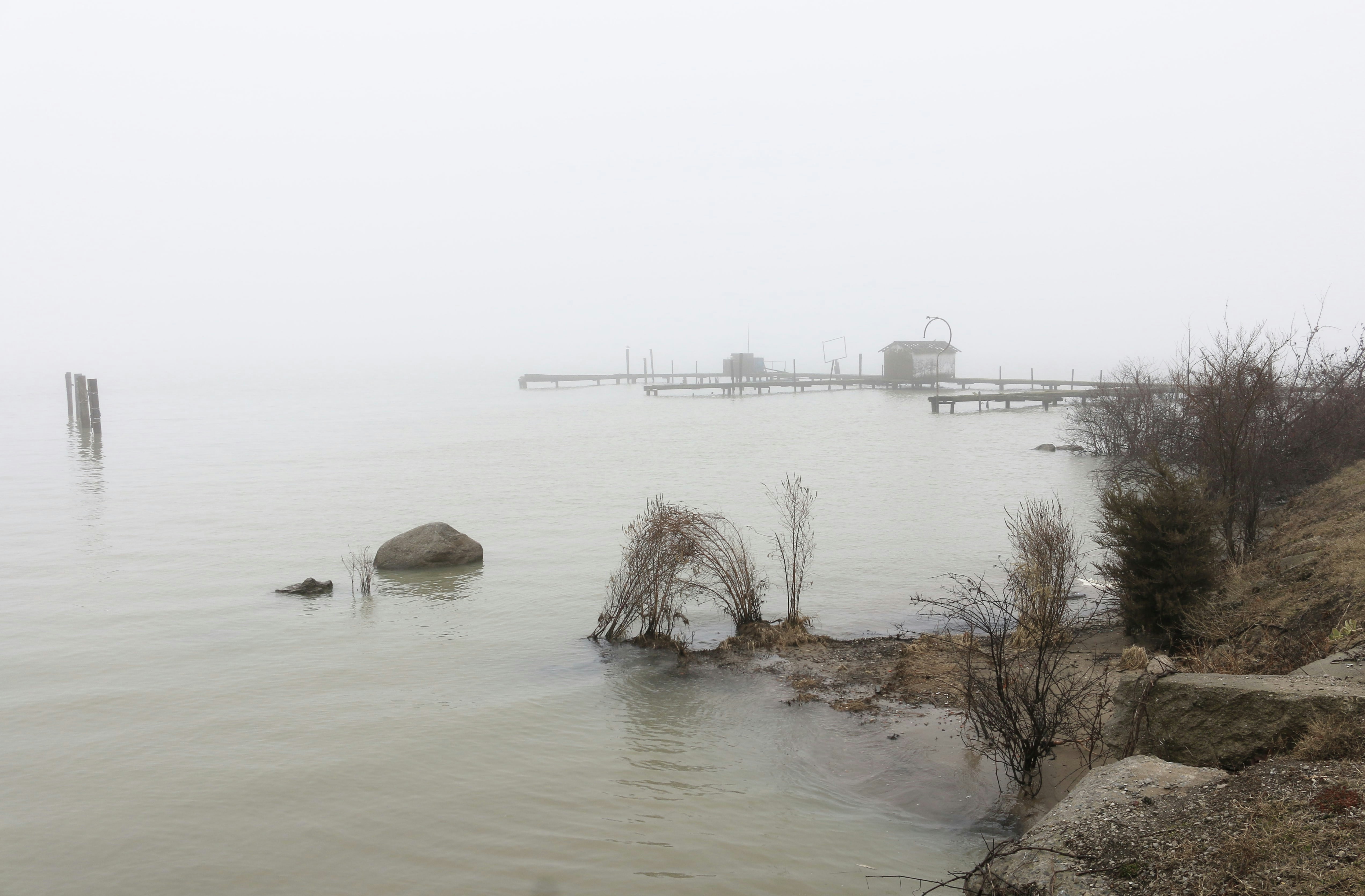 Mist over the Pier: Quiet Harbor Beyond the Fog