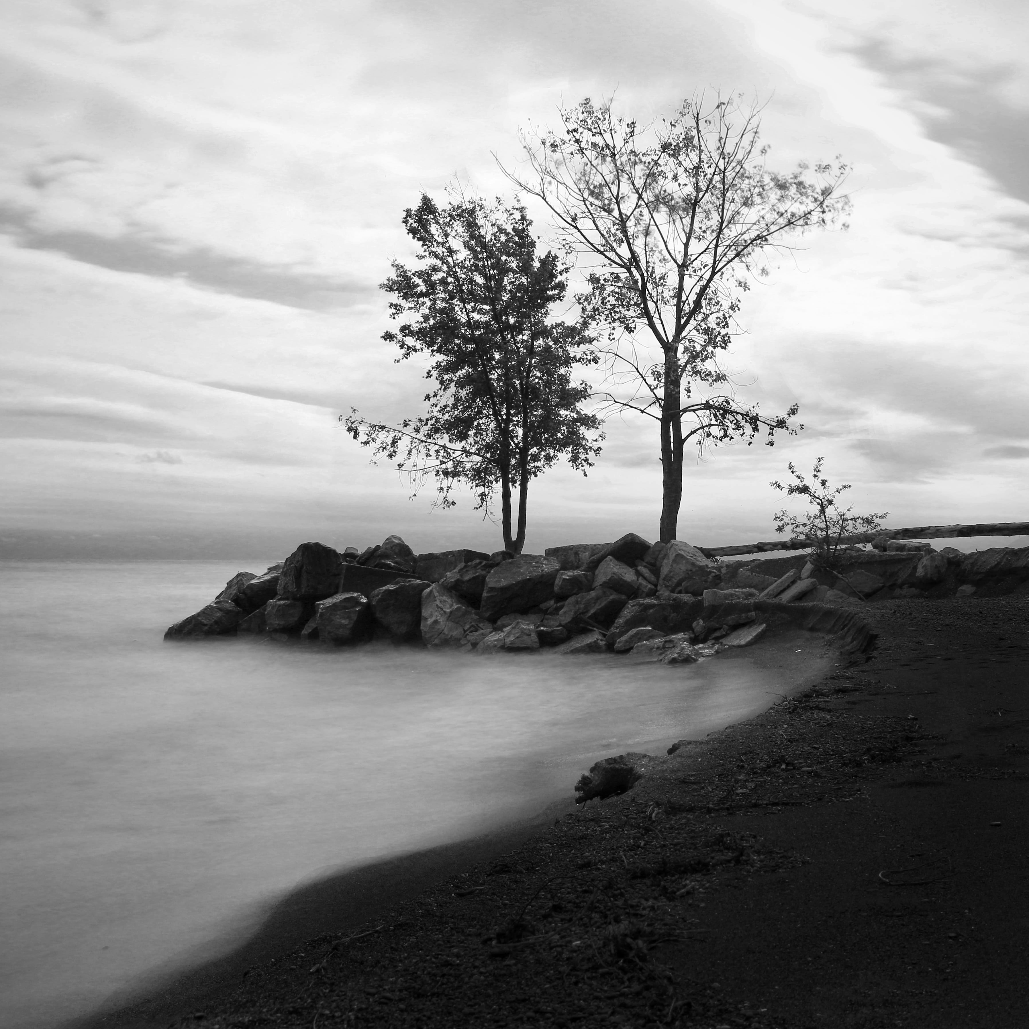 Two Trees on a Quiet Breakwater