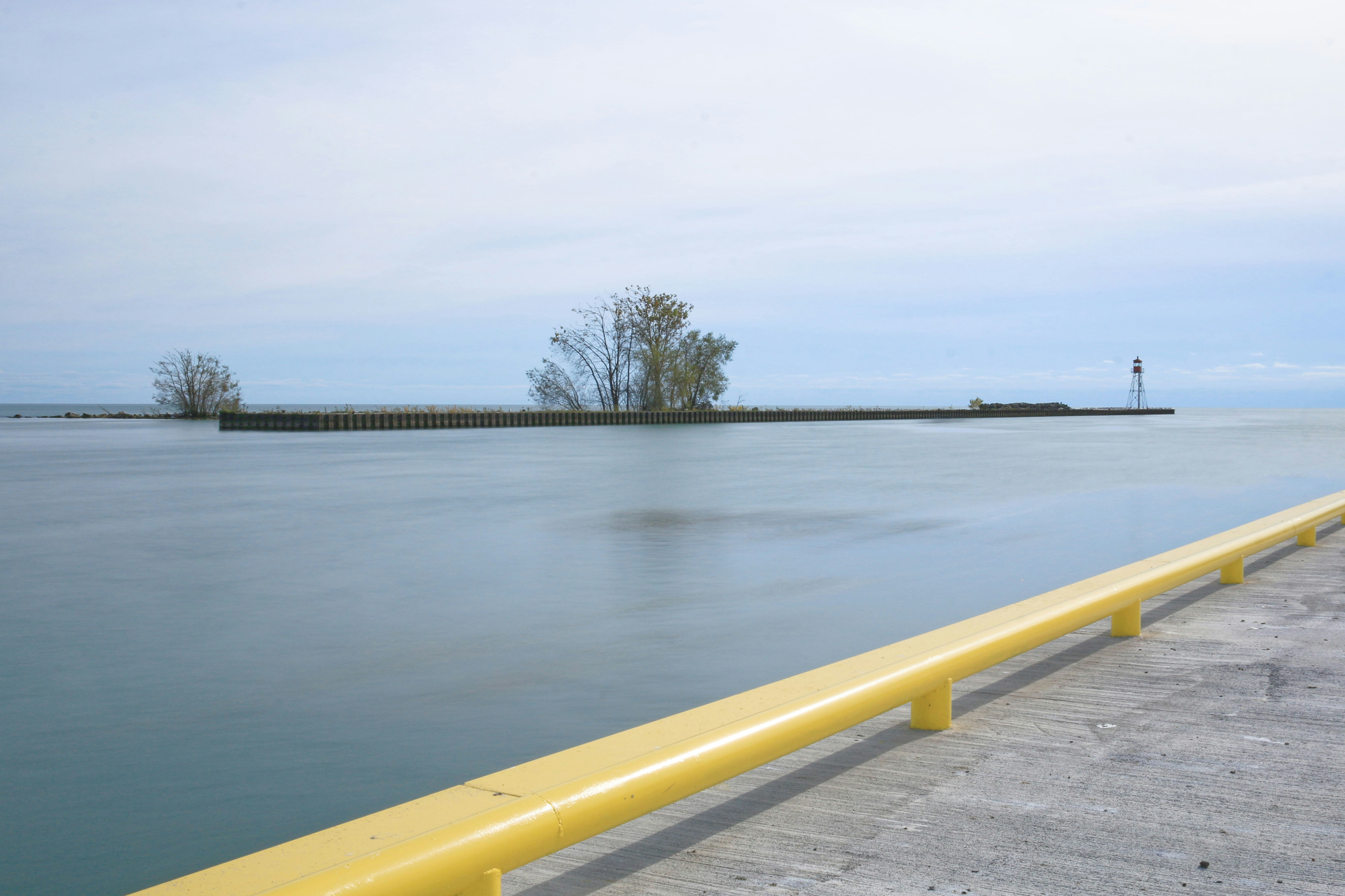 Yellow Rail Meets Calm Horizon