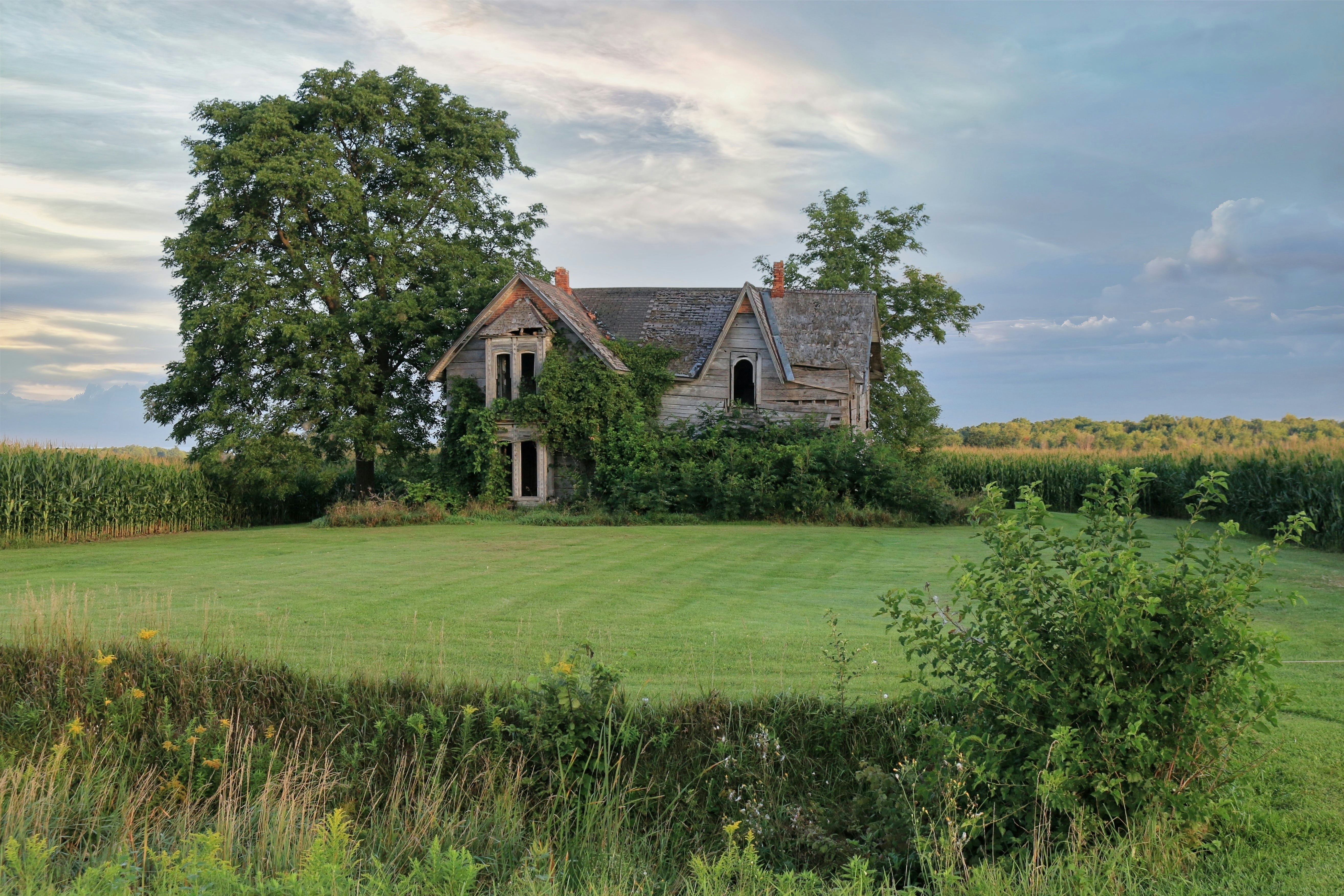 Abandoned farmhouse framed by green fields and overgrown ivy