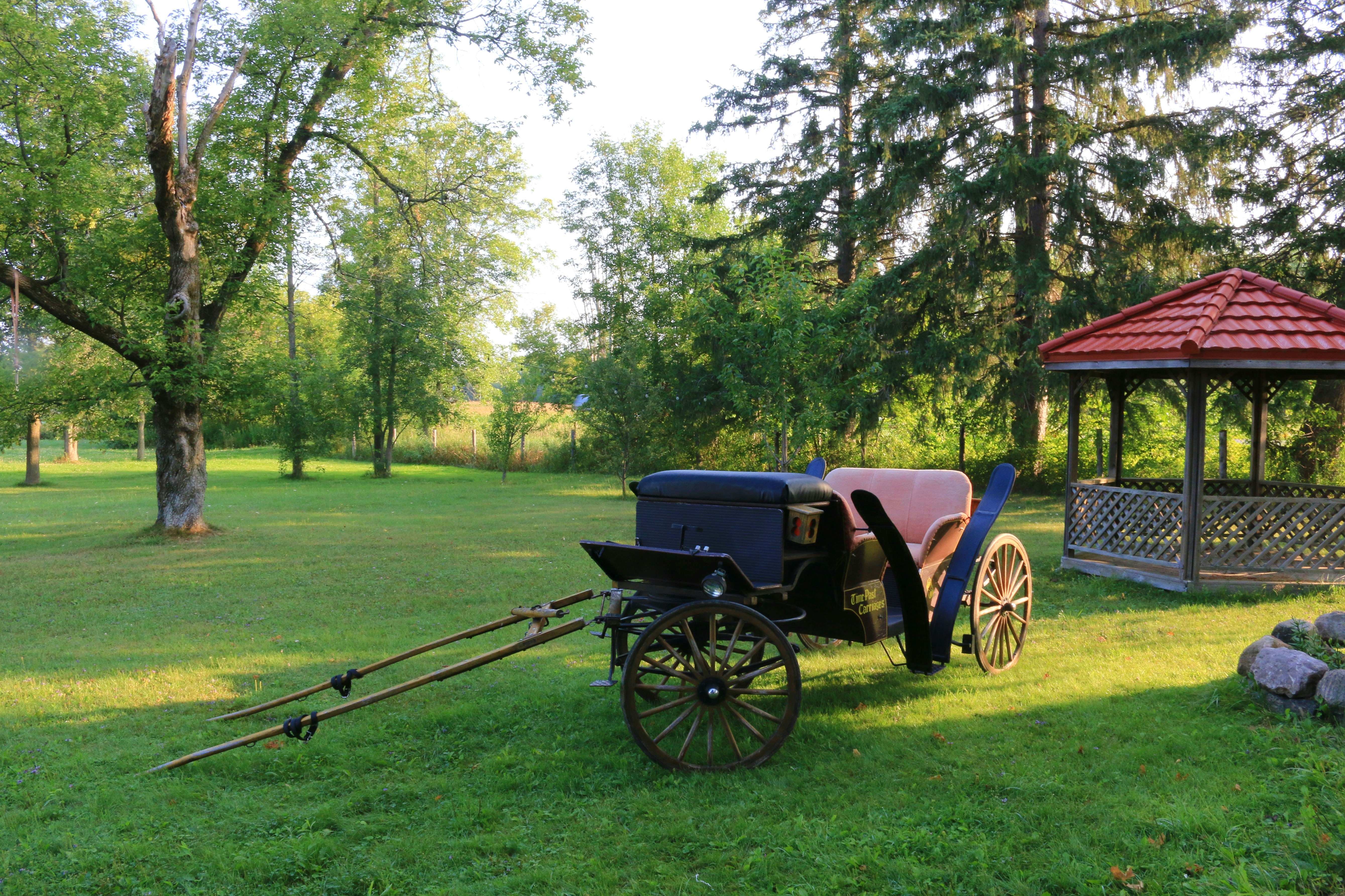 Pastoral Wagon: Sunlit Carriage Resting by the Garden Pavilion