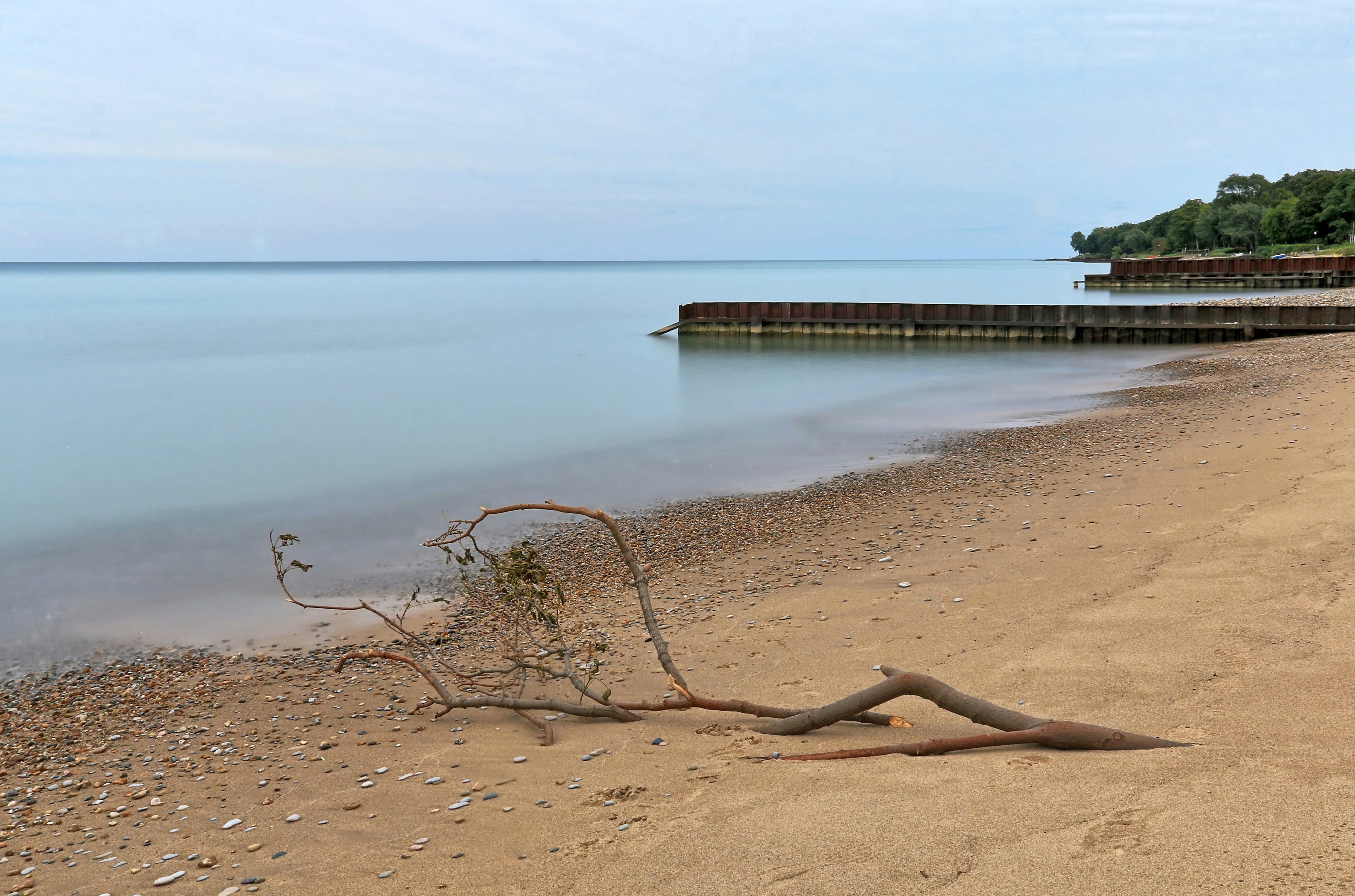 Driftwood on Quiet Shore: A Serene Confluence of Sand, Sea, and Sky