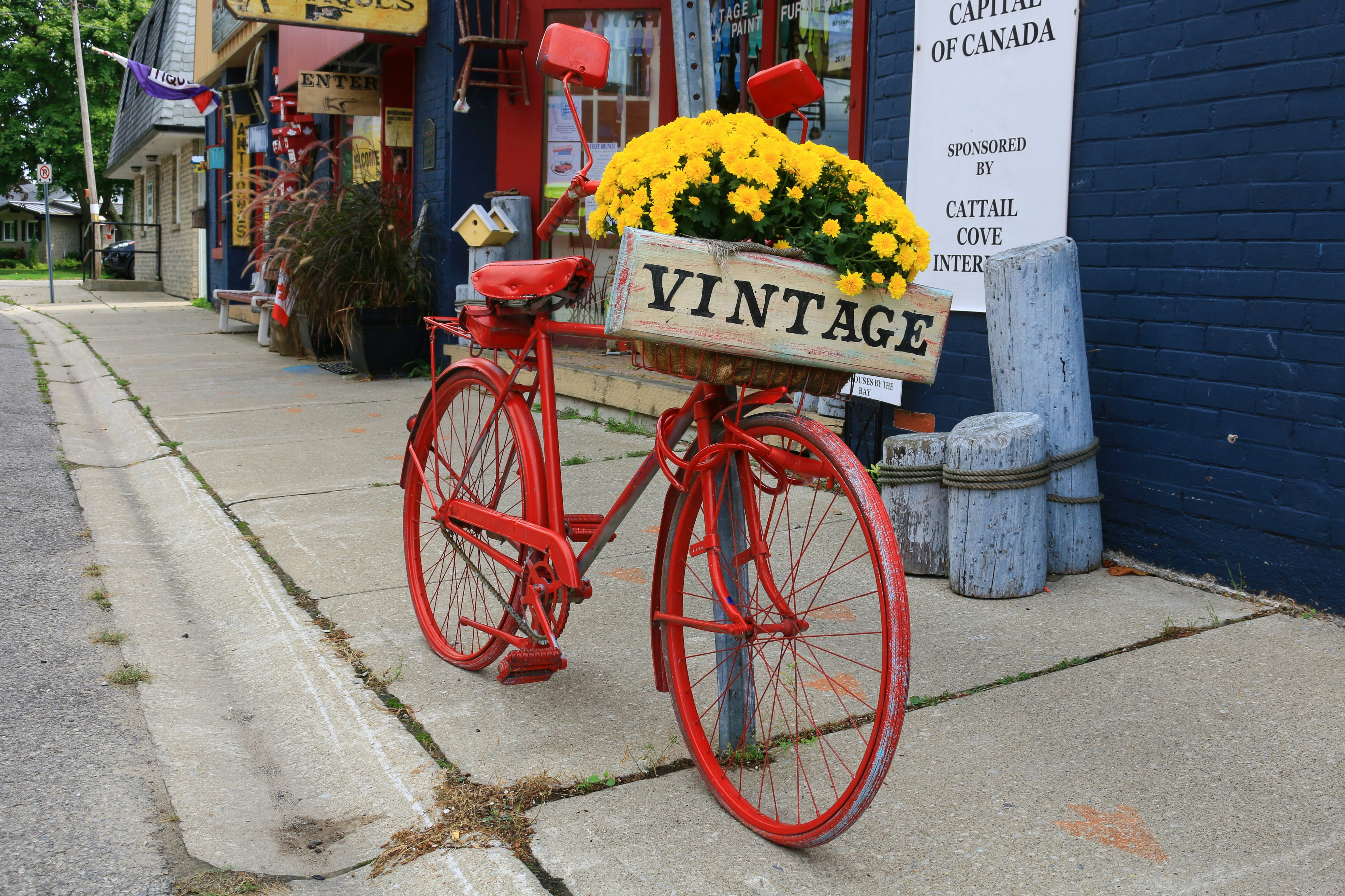 Red Vintage Bicycle with Yellow Flowers in a Neighbourhood Shopfront
