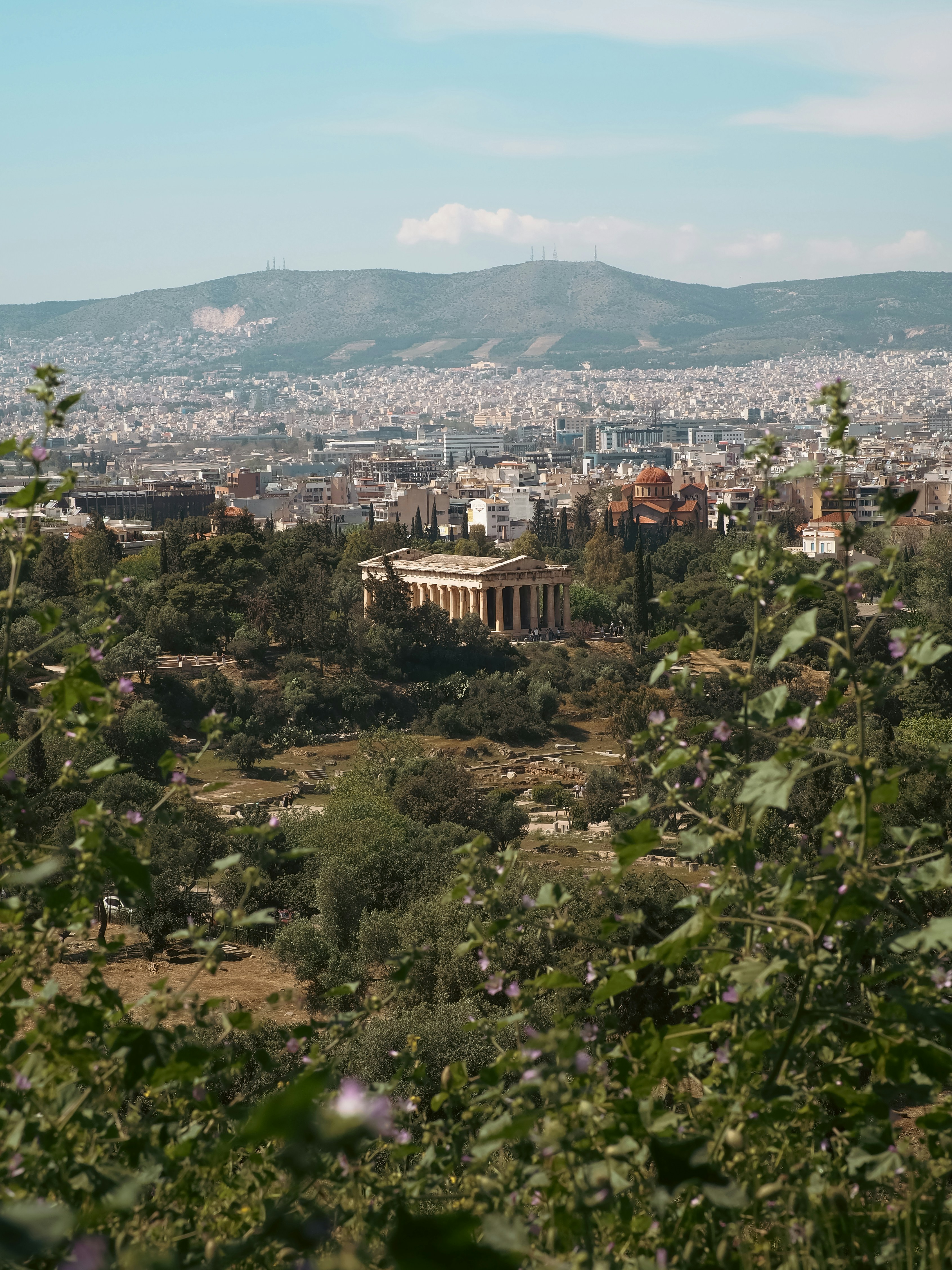Ancient Temple Framed by Olive-Grove Overlooking a Modern City