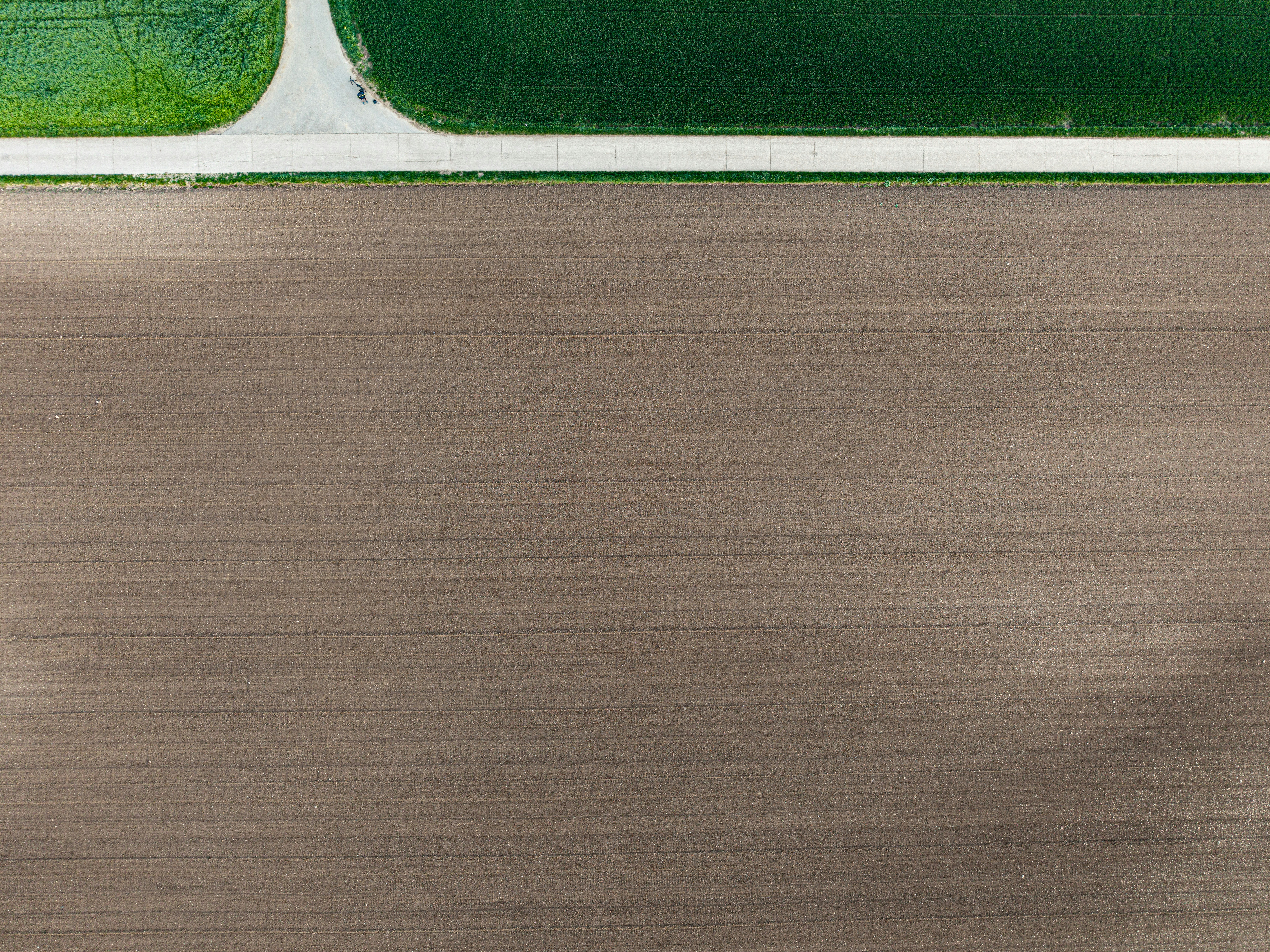 Aerial Grid: Parallel Plowed Fields Under Street-Edge Canopy