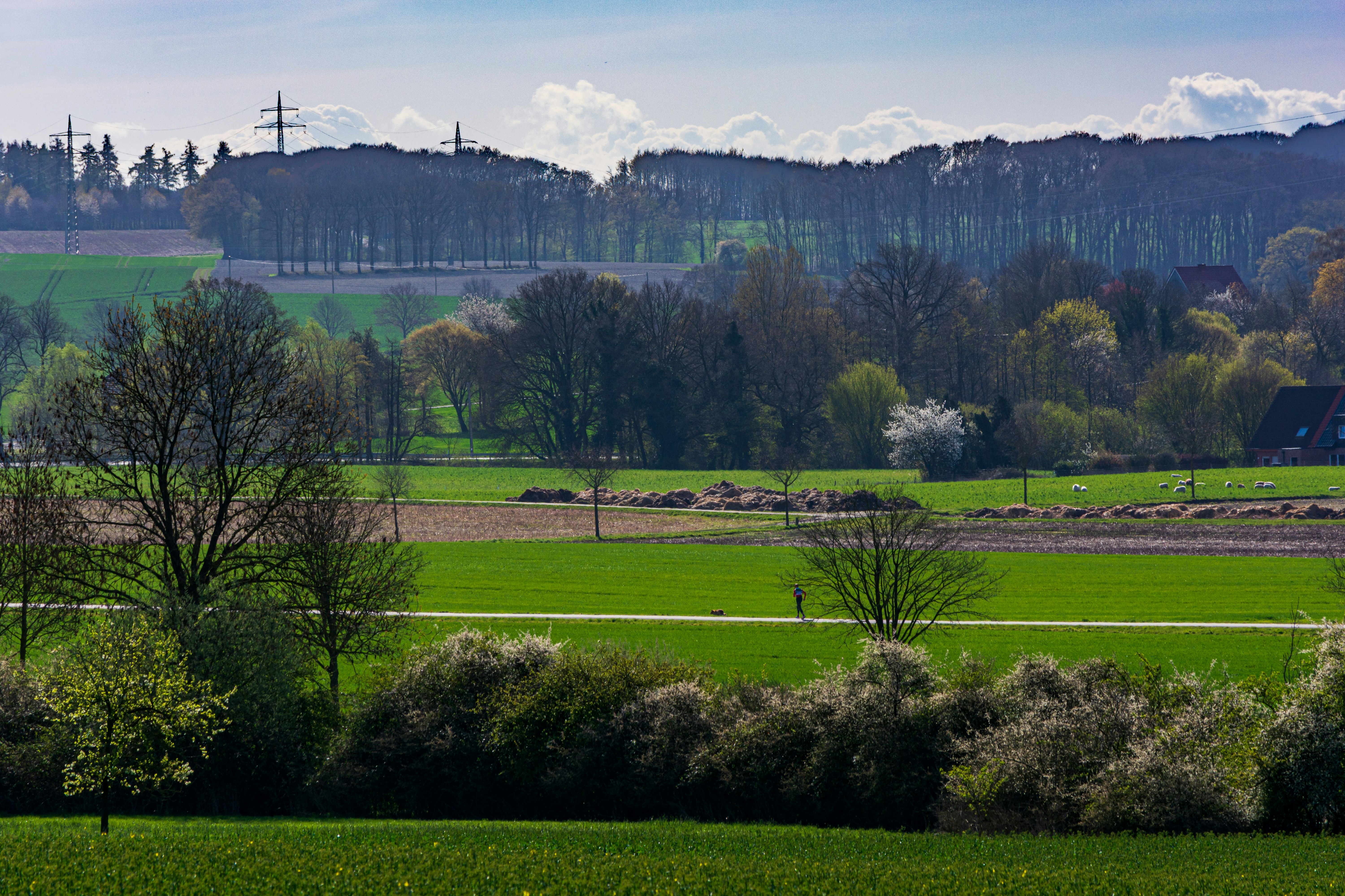 Quiet Farmland Horizon Under a Patchwork Sky