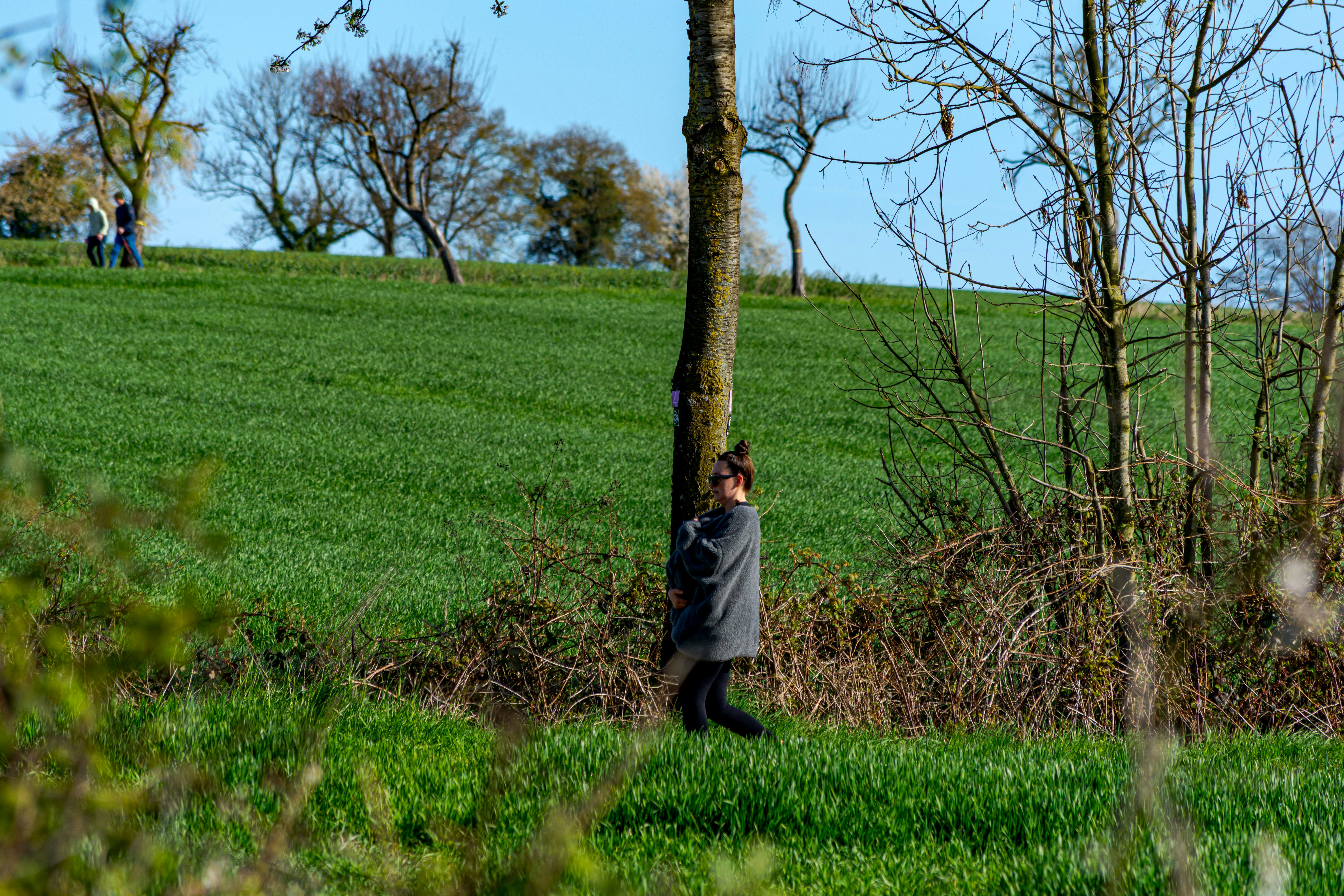 Runner in the Meadow: A Quiet Moment by the Trees