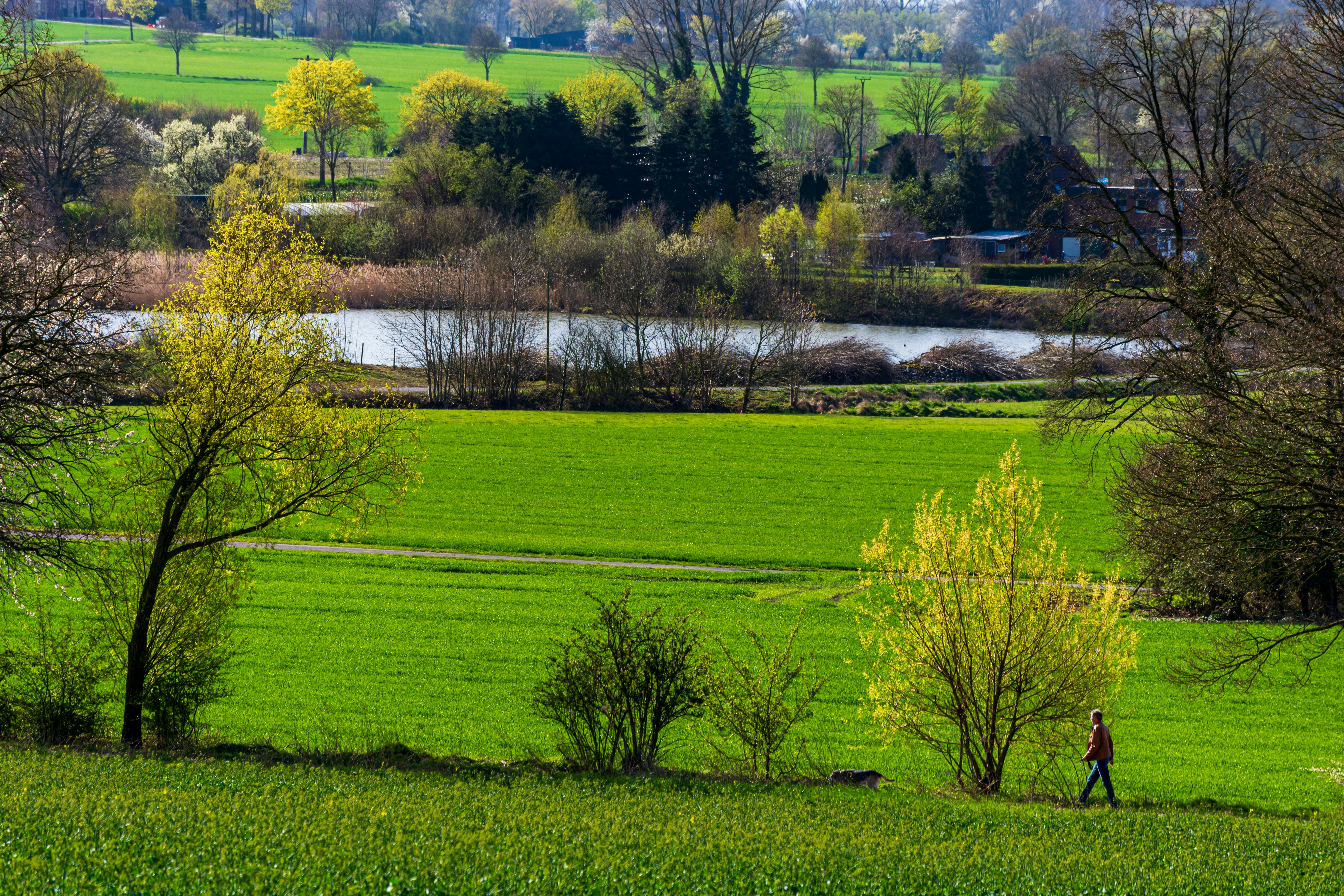 A lone walker traverses a sunlit meadow beside a quiet river