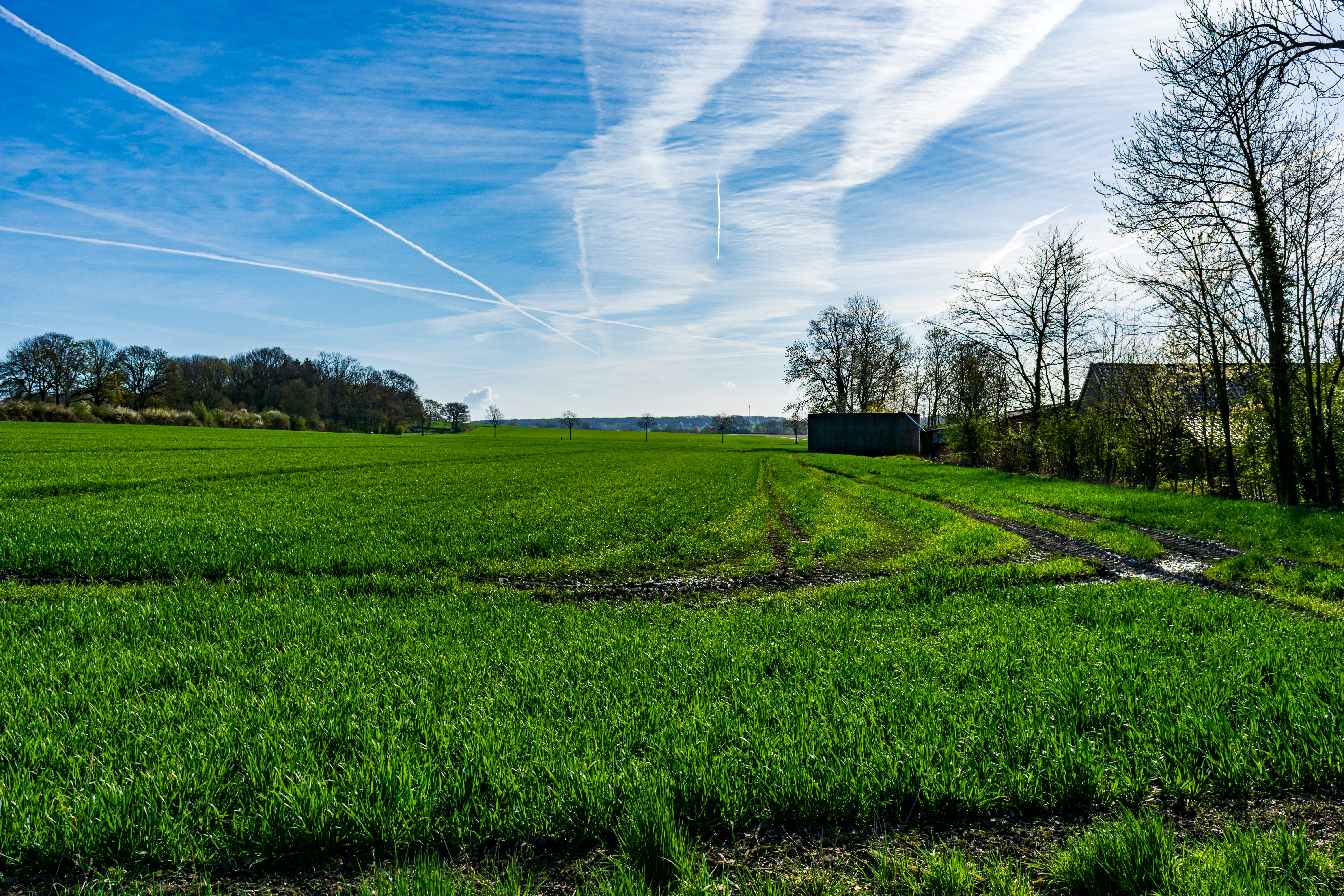 Sunlit Field Converging to a Quiet Farmyard