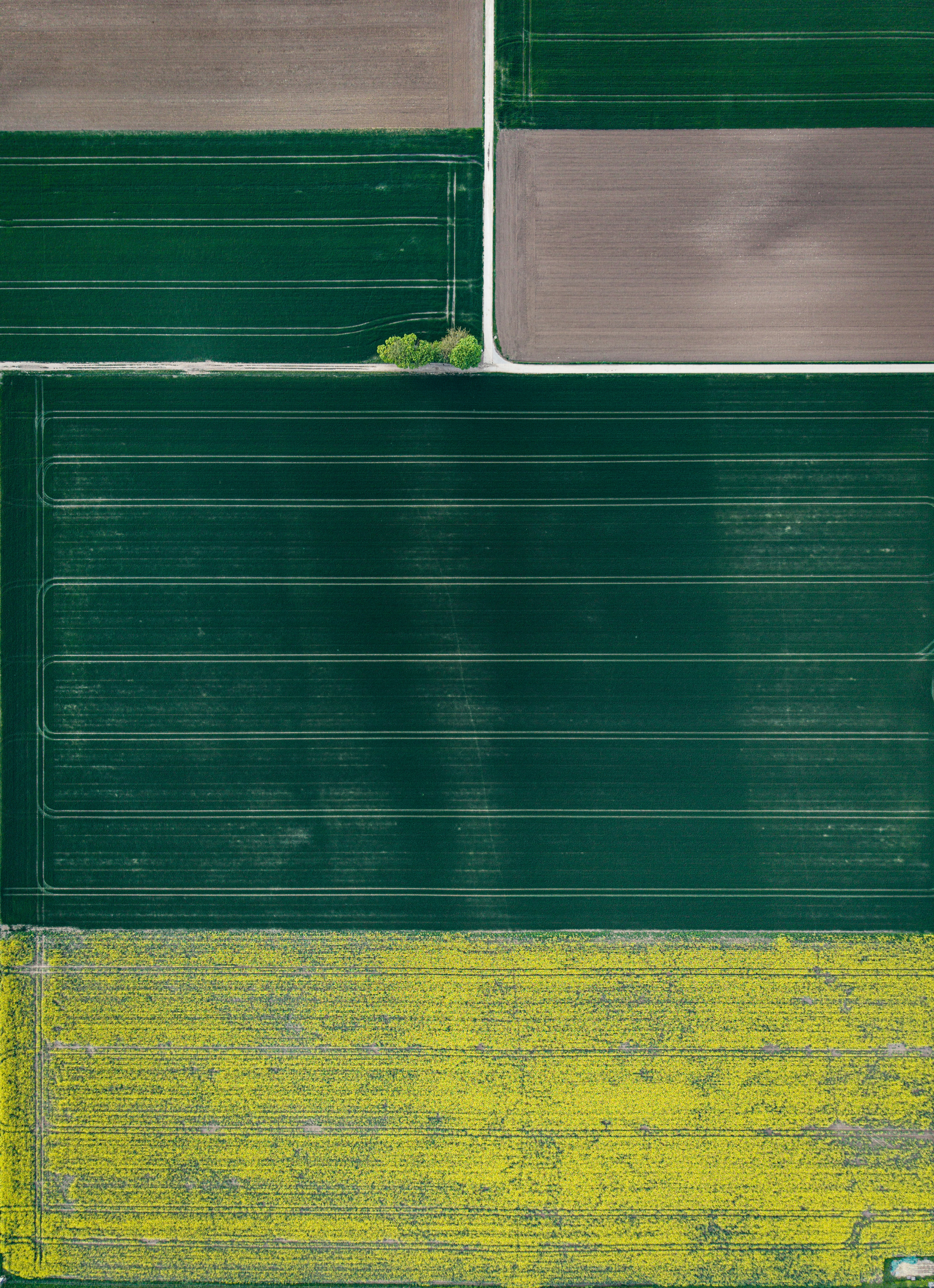 Aerial Patchwork: Fields of Green and Gold