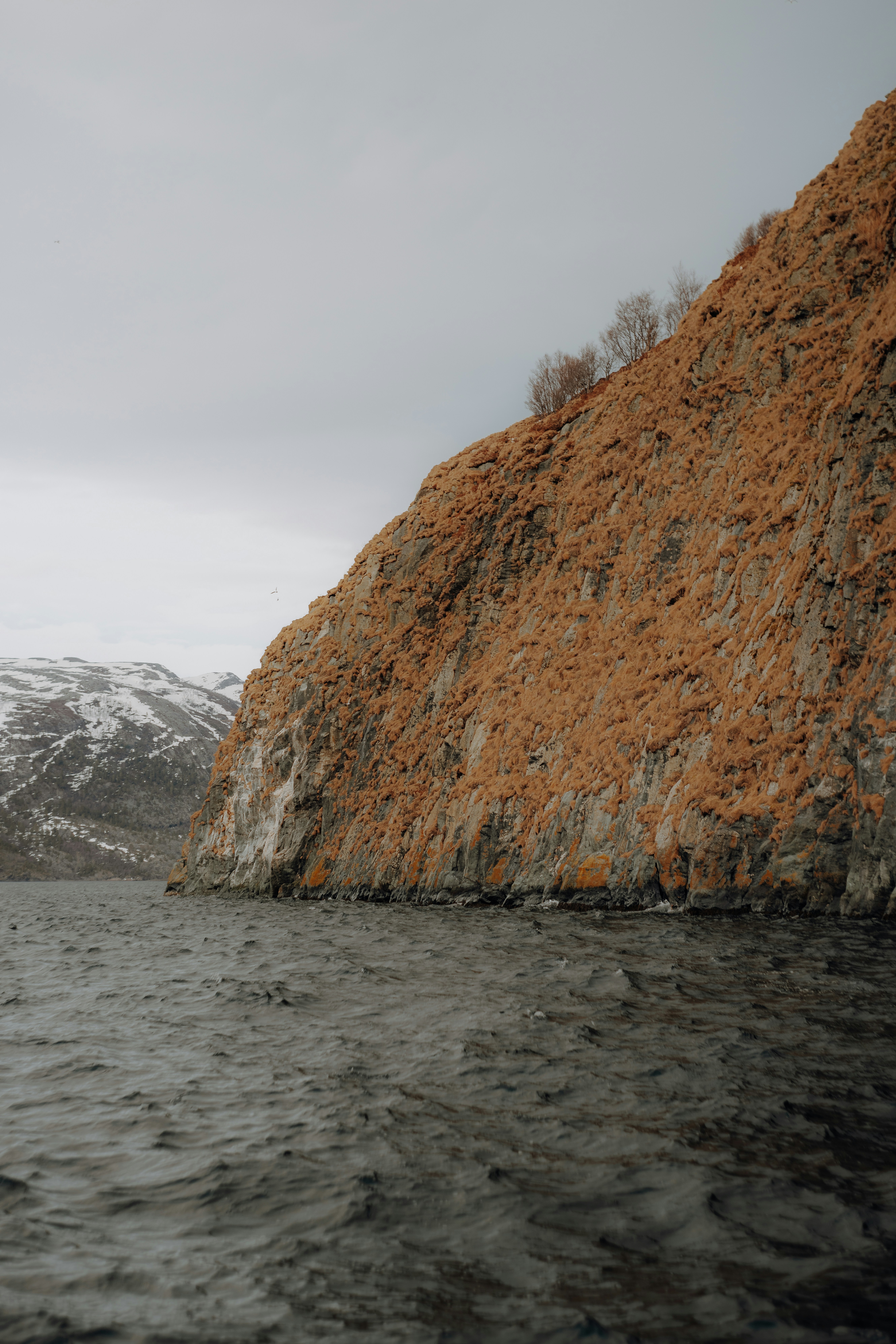 Cliffside Fjord: Sunlit orange rock meeting turbulent grey waters