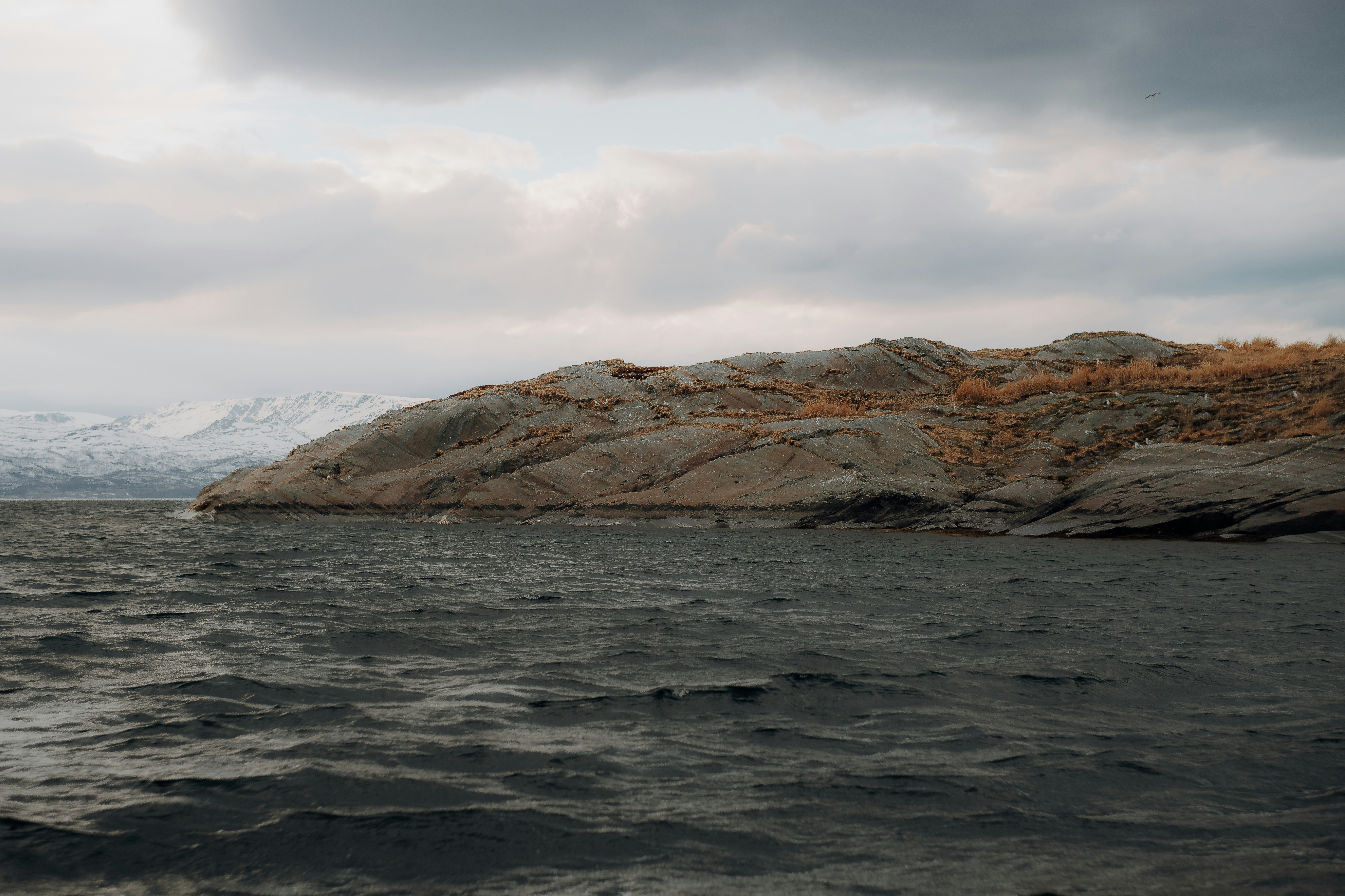 Sunlit Coastline Amidst Overcast Skies