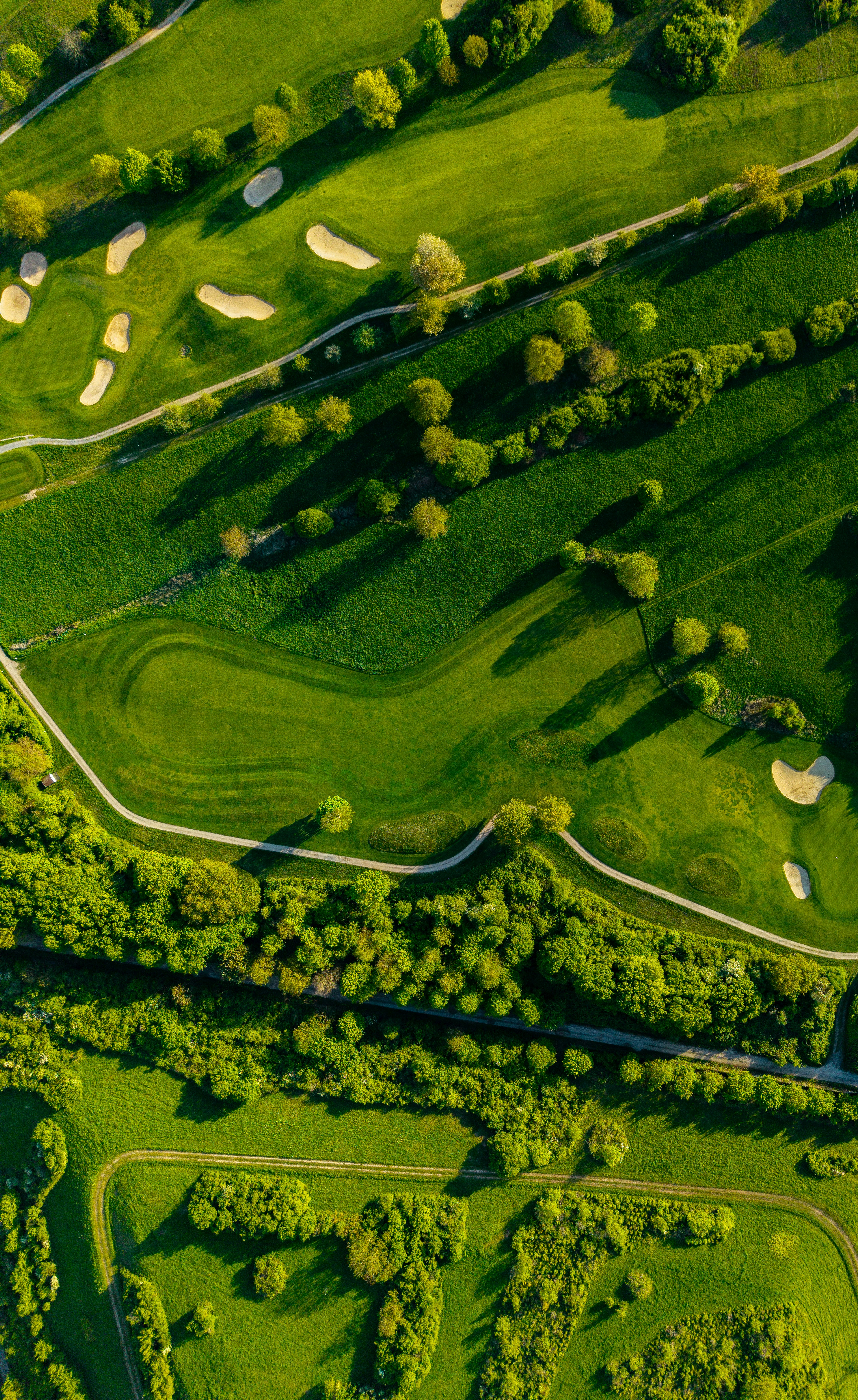 Aerial Green: Serpentine fairways weaving through a sunlit park