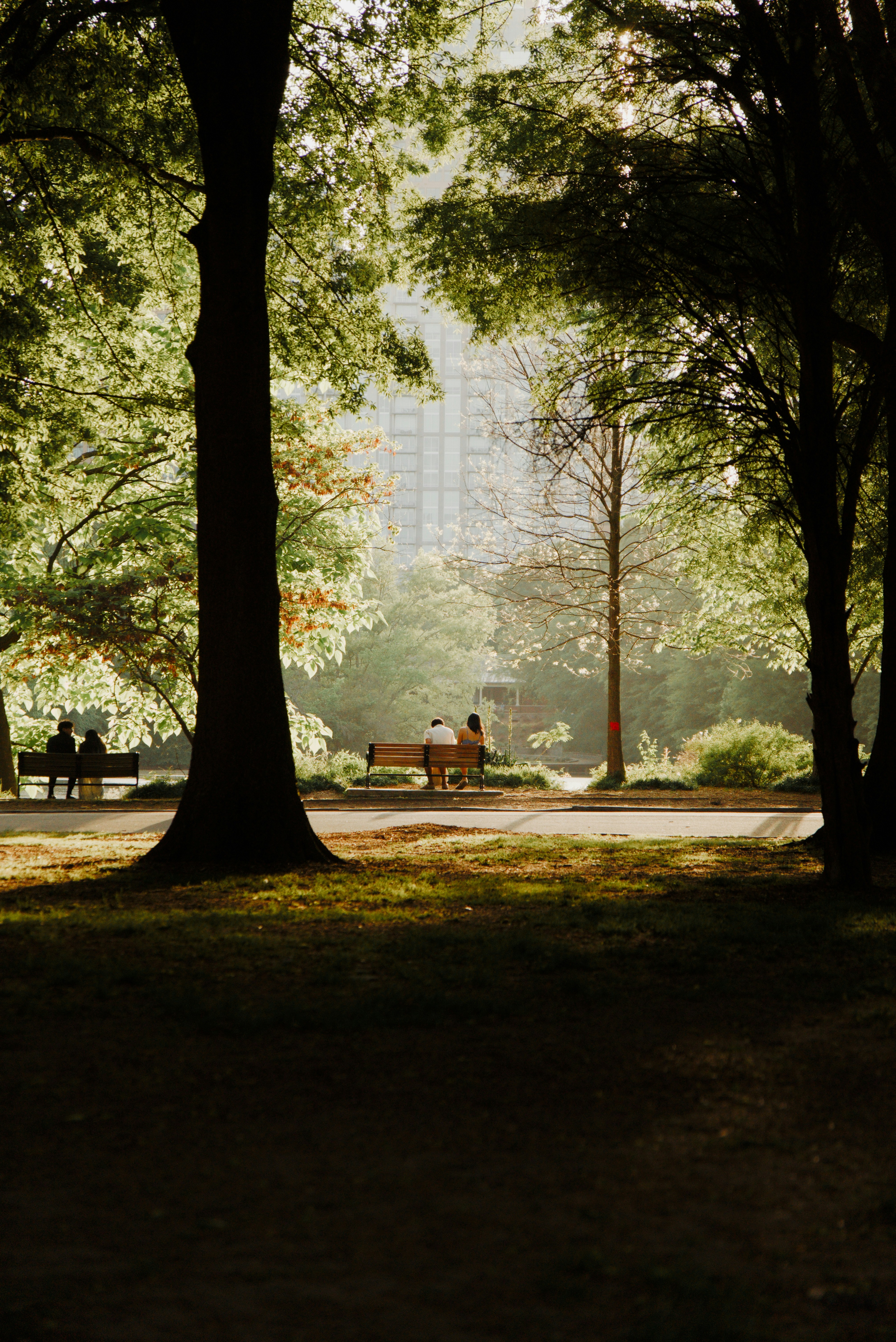 Two Lovers on a Park Bench Amid Ray-Filled Trees
