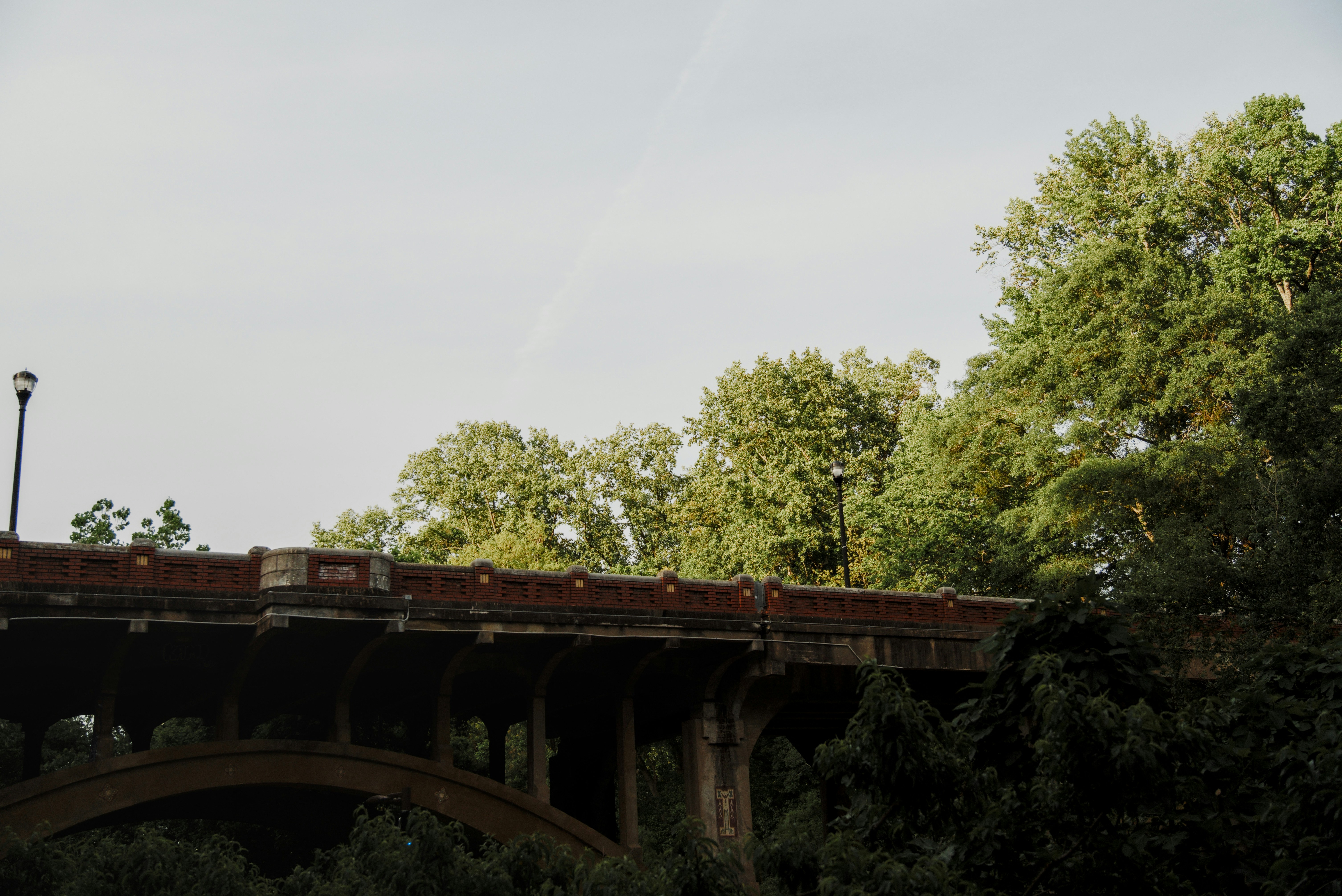 Steel Crest: A Tranquil Train Crossing Above Verdant Shadows