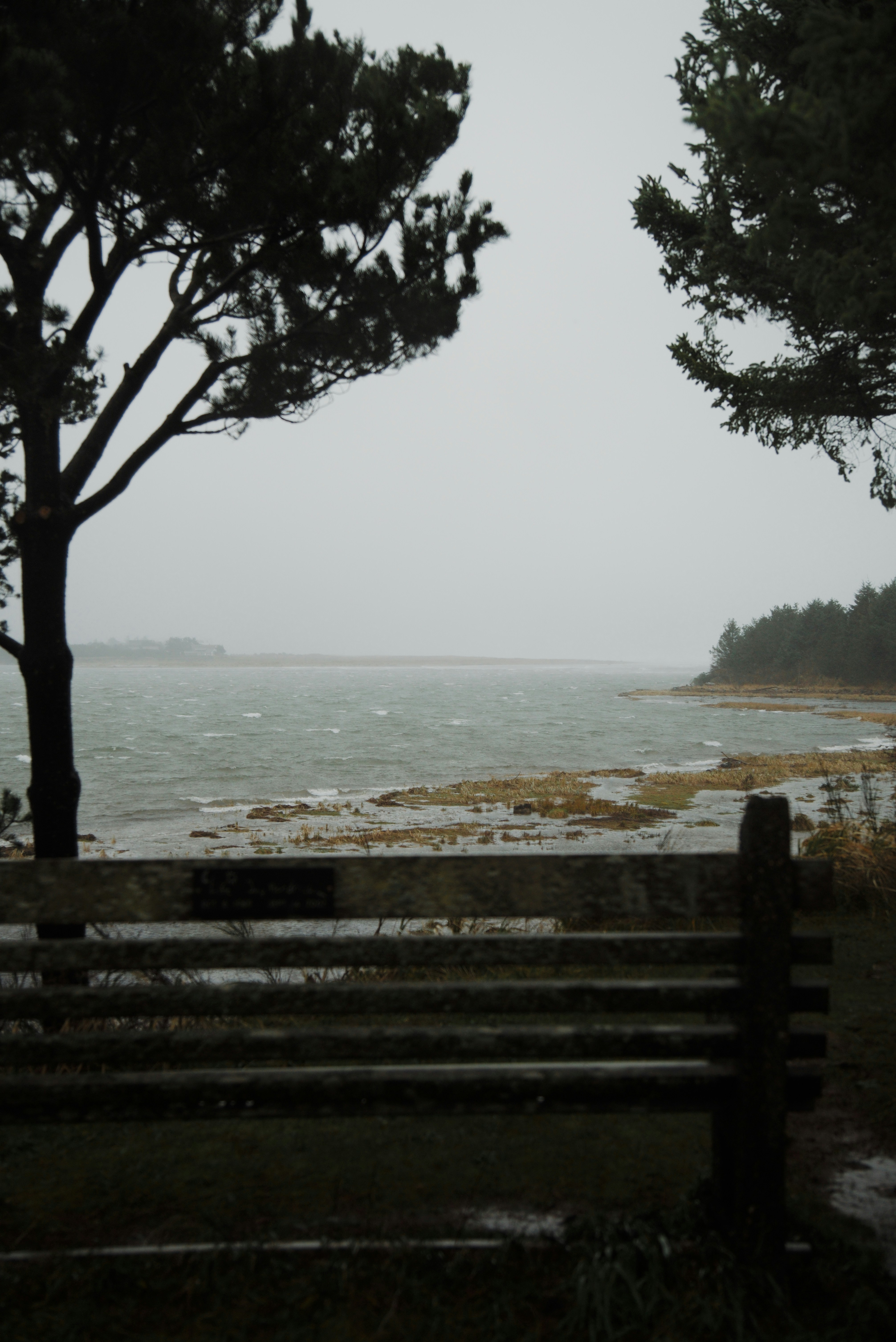 Stormy Shoreline Through Fence