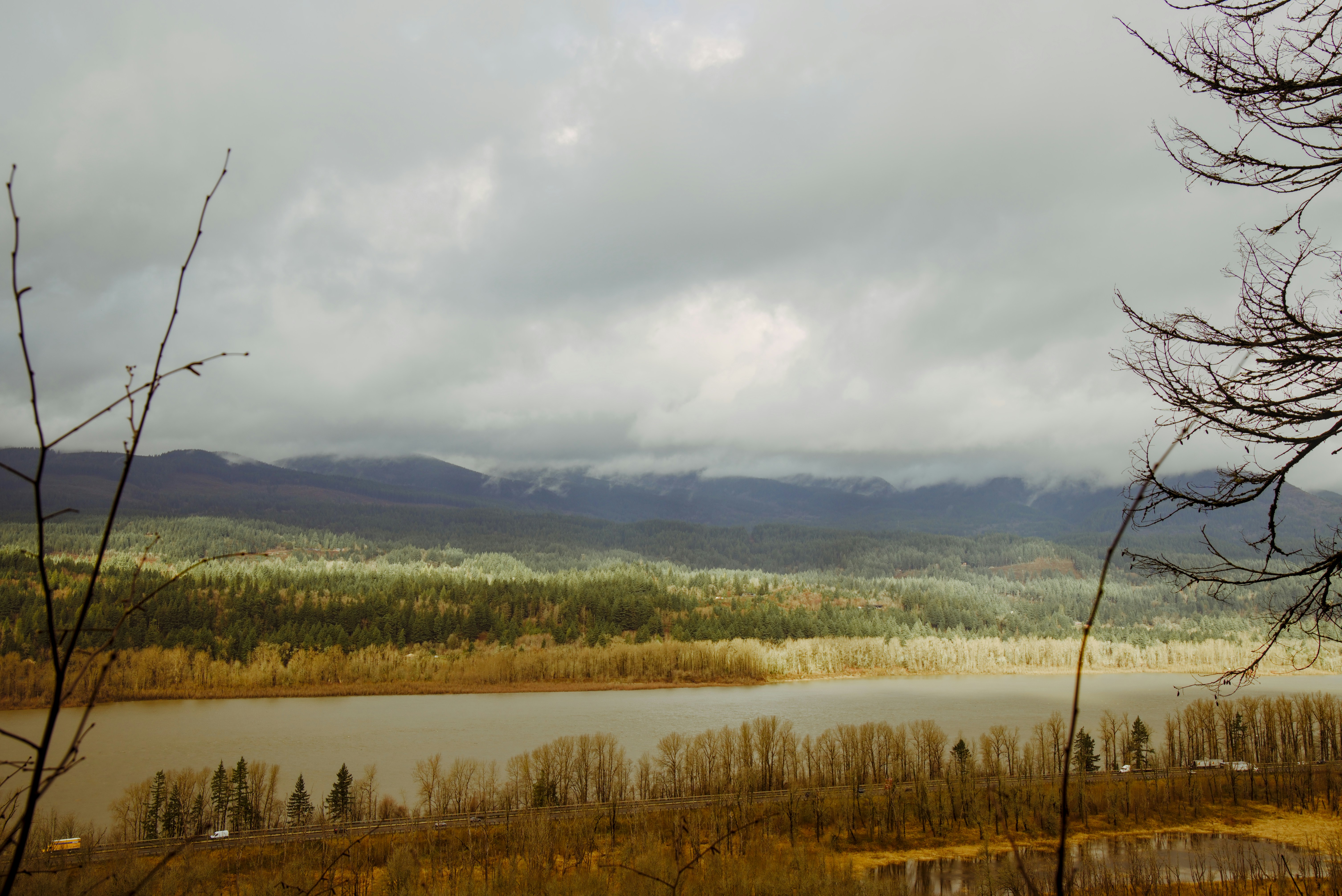 Autumn River Quiet: Hills Drape in Mist and Distant Pines