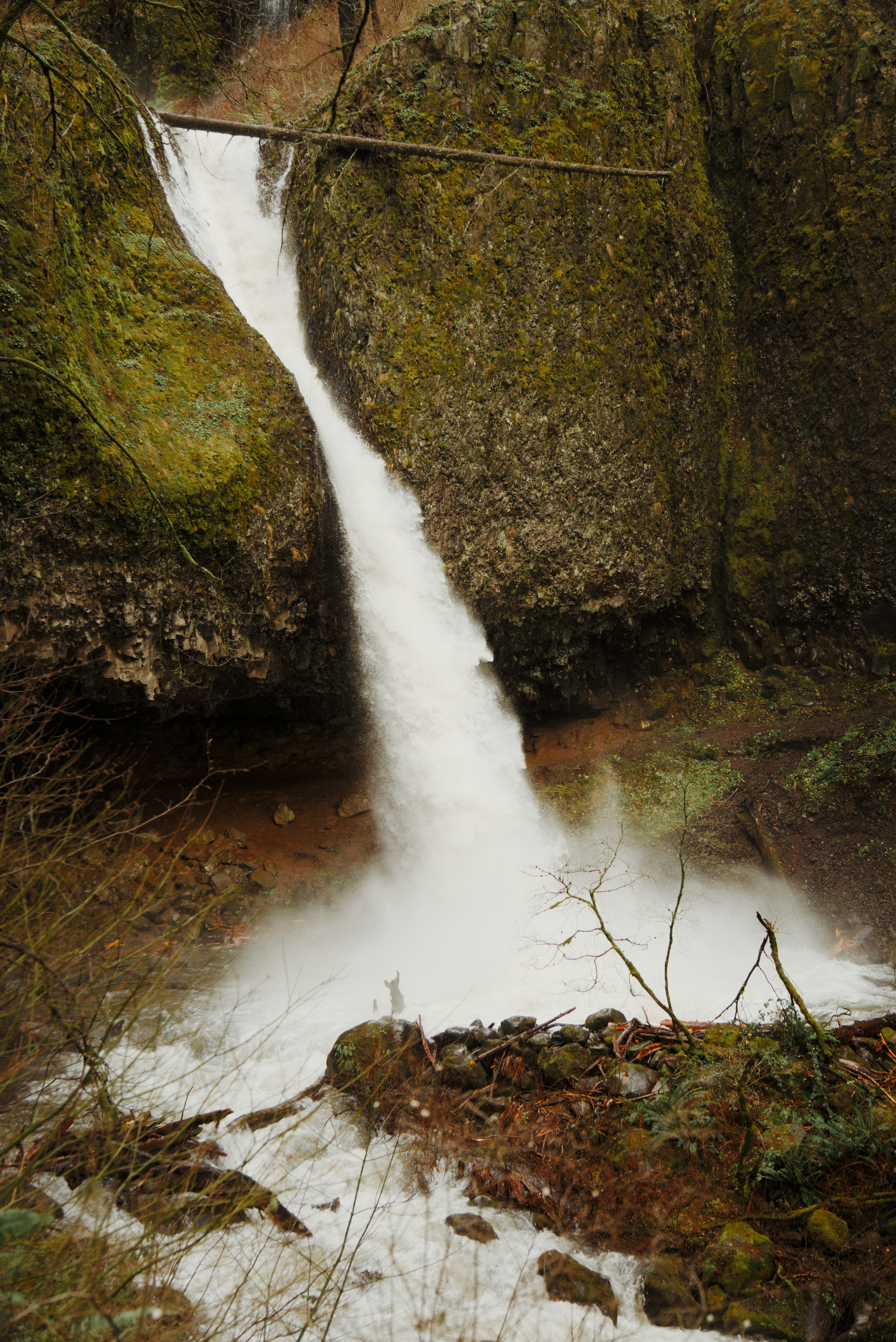 Cascade Through Moss and Mist