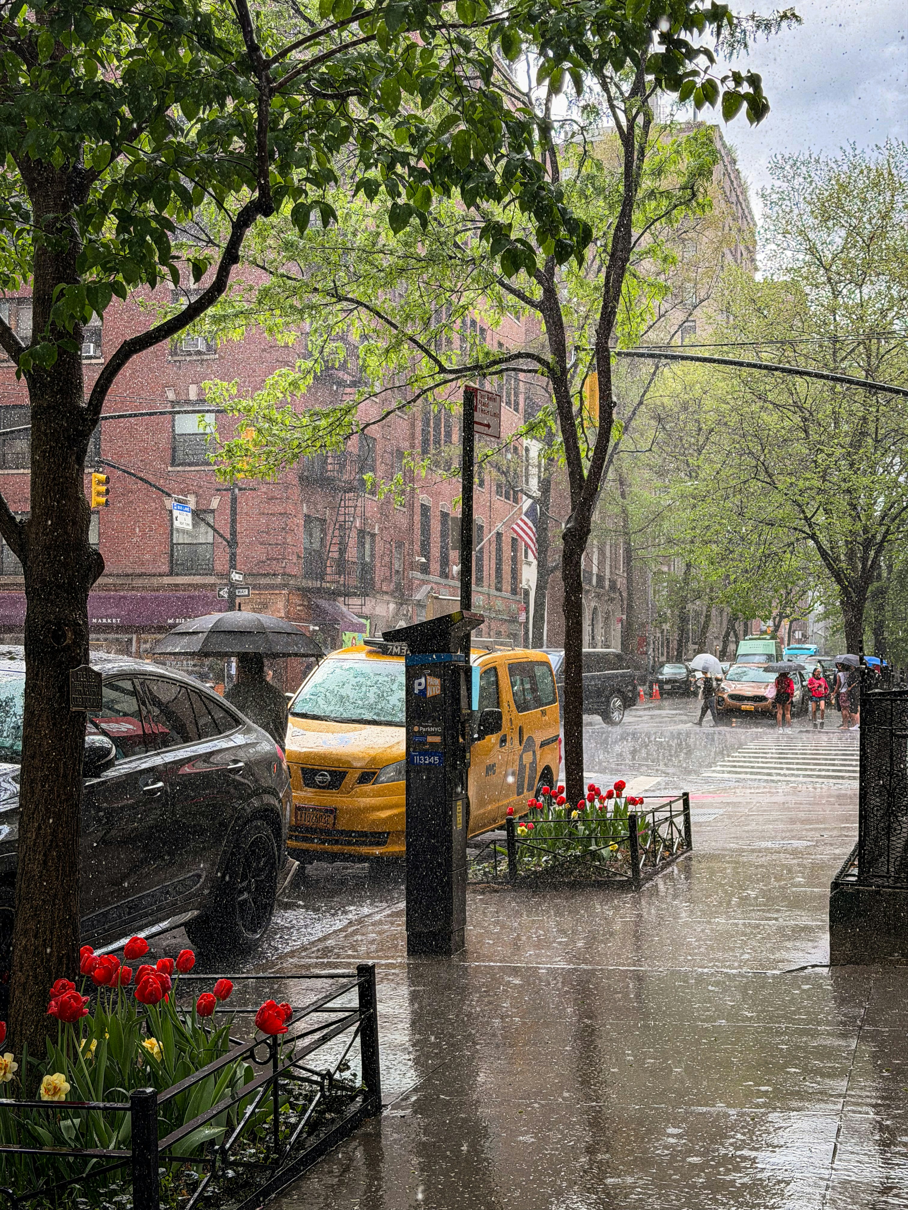 Rainy Midtown Street with Yellow Taxi and Tulips