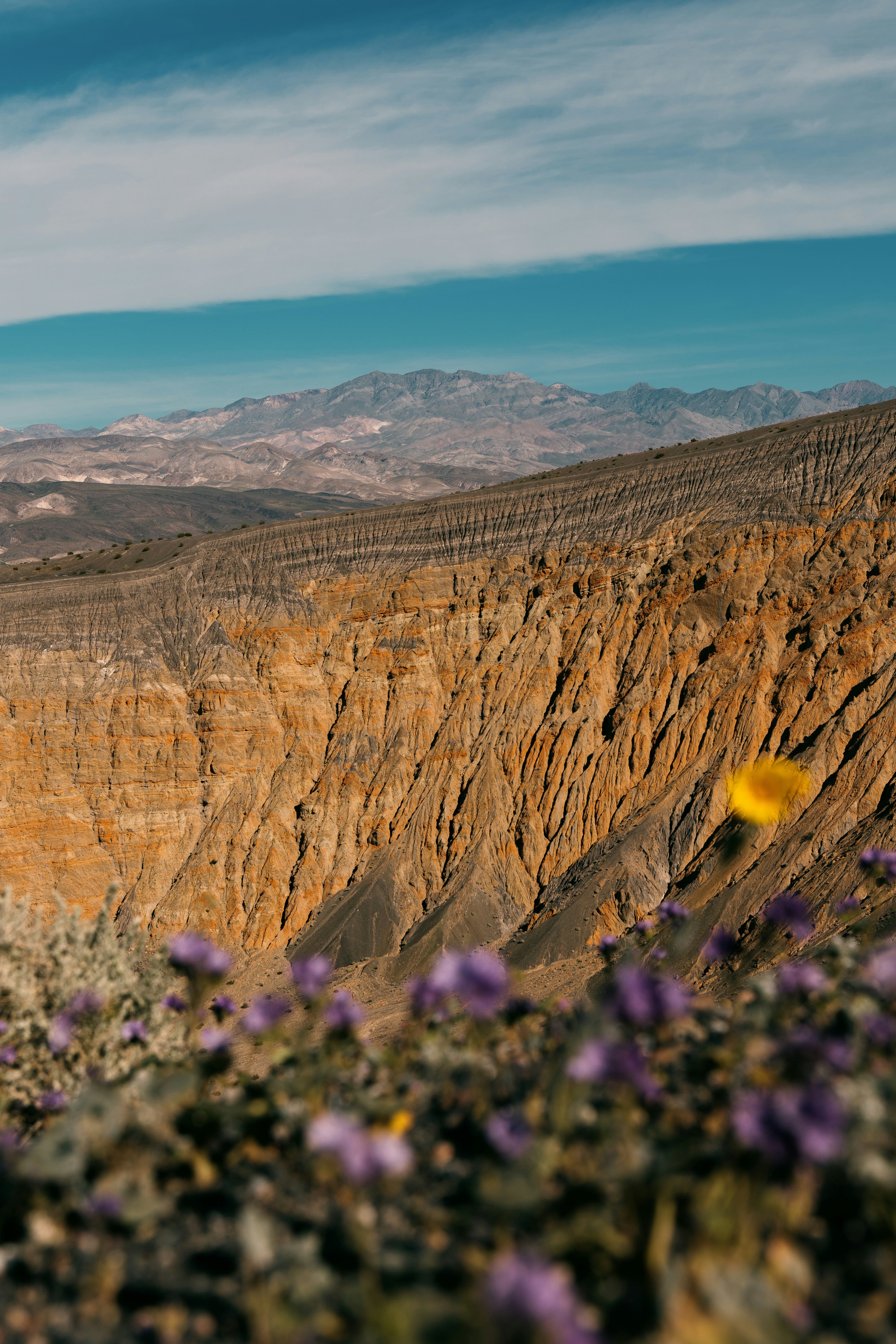 Desert Ridge in Bloom: Echoes of Color Over Eroded Clay