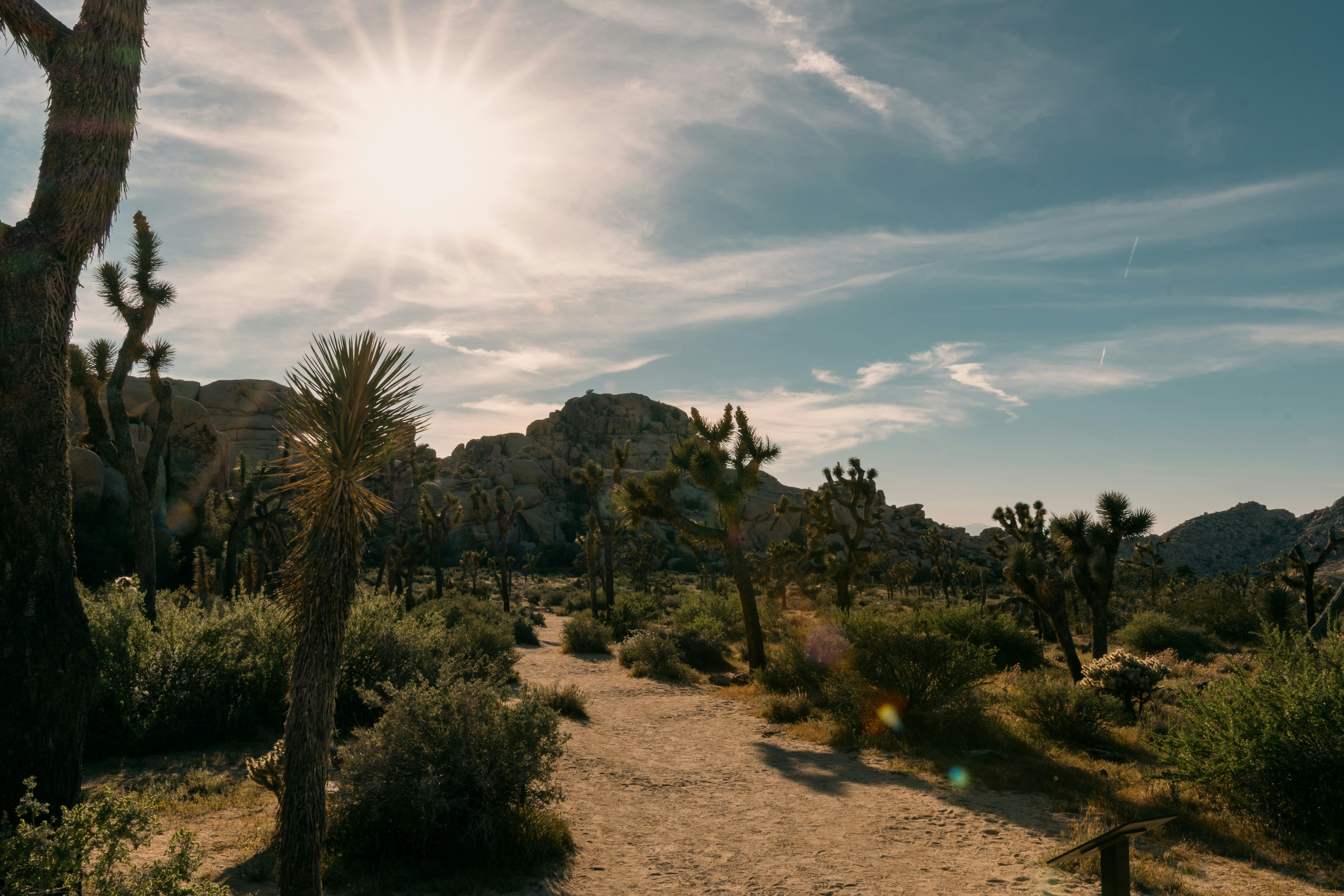 Desert Trail Under a Radiant Desert Sun