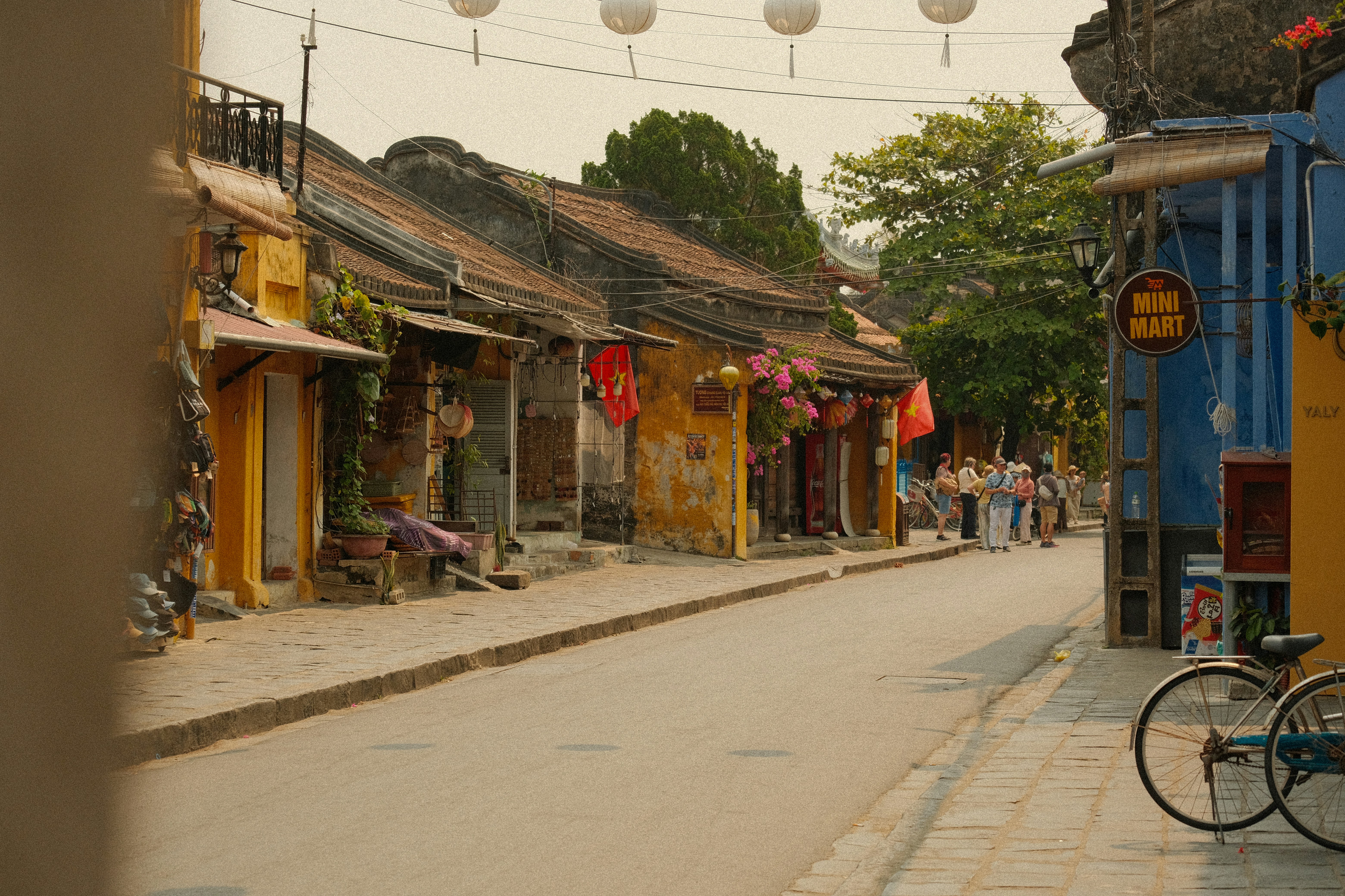 Sunlit Lane of Echoed Colors