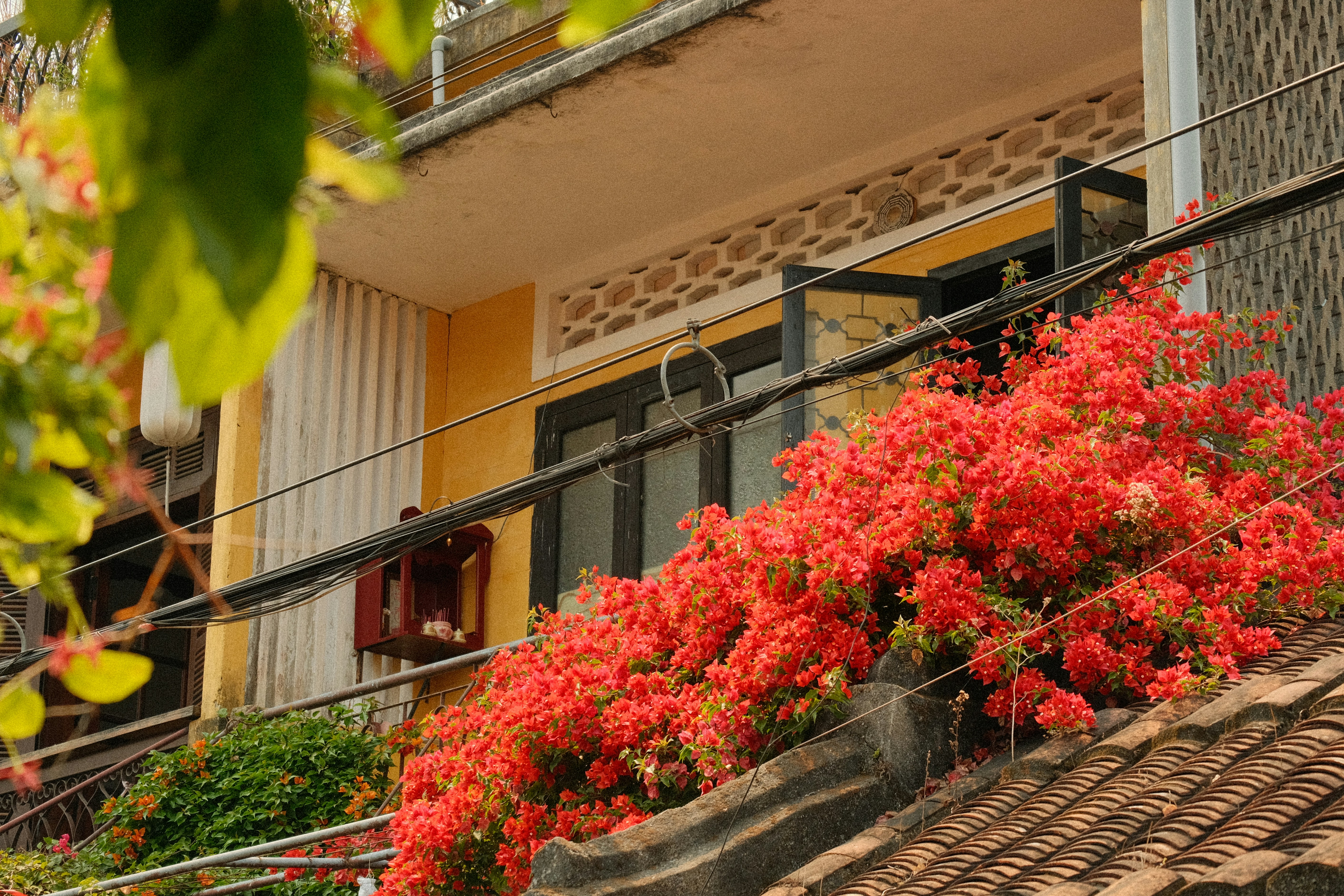 Terracotta Tile Terrace Framed by Crimson Bougainvillea