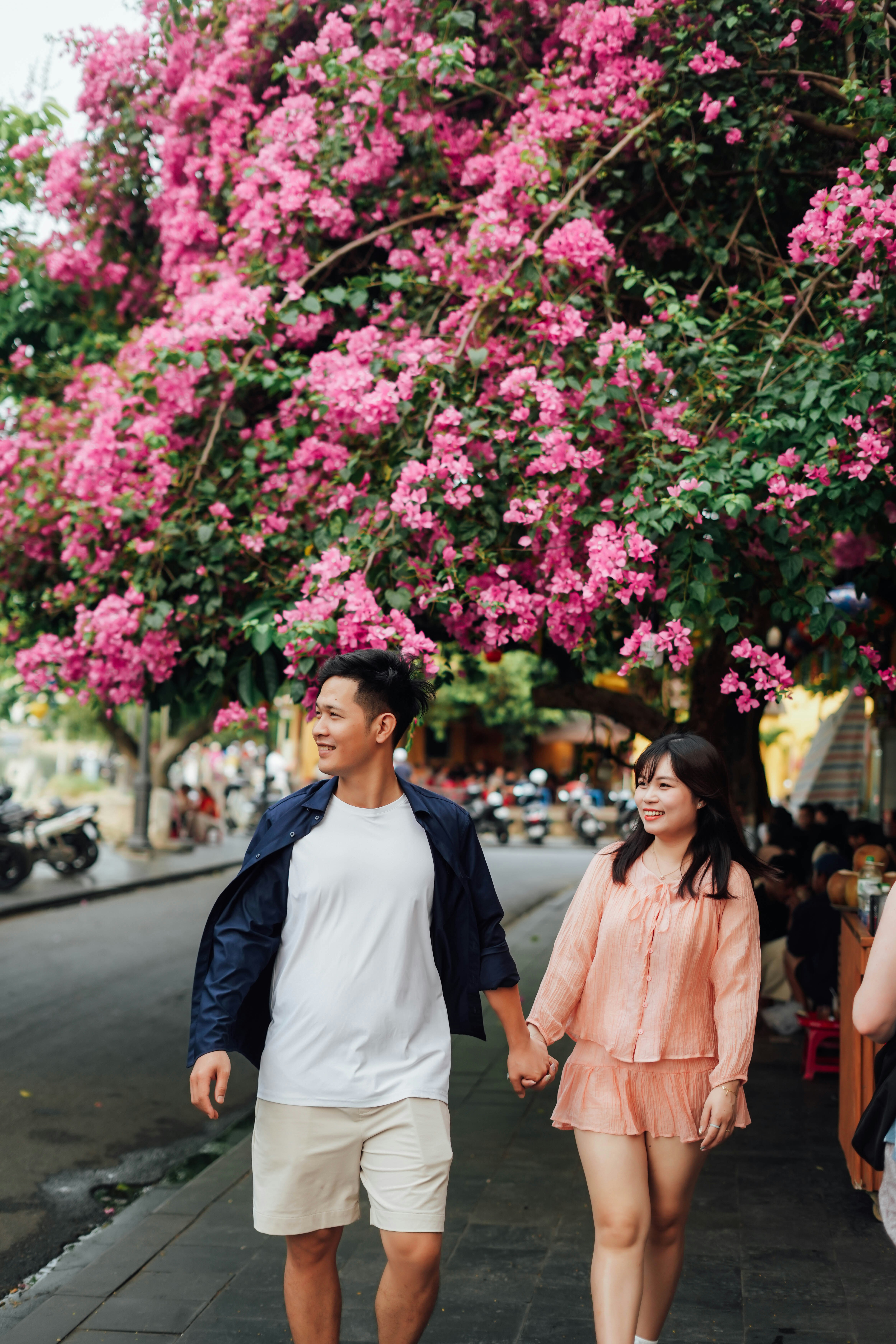 Stroll Under a Blooming Canopy