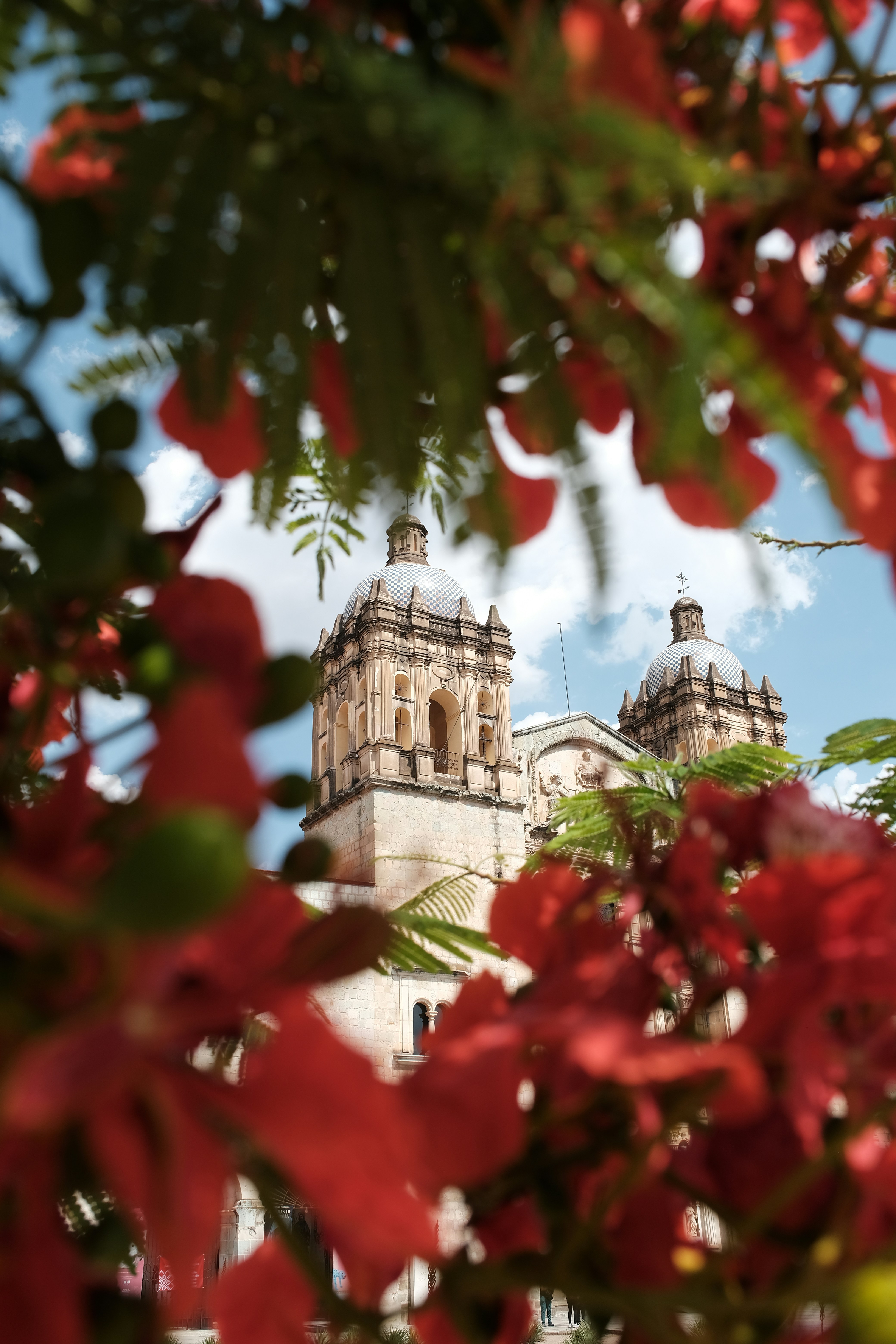 Blossoms Framing a Cathedral: Colorful Frame around a Colonial Bell Tower