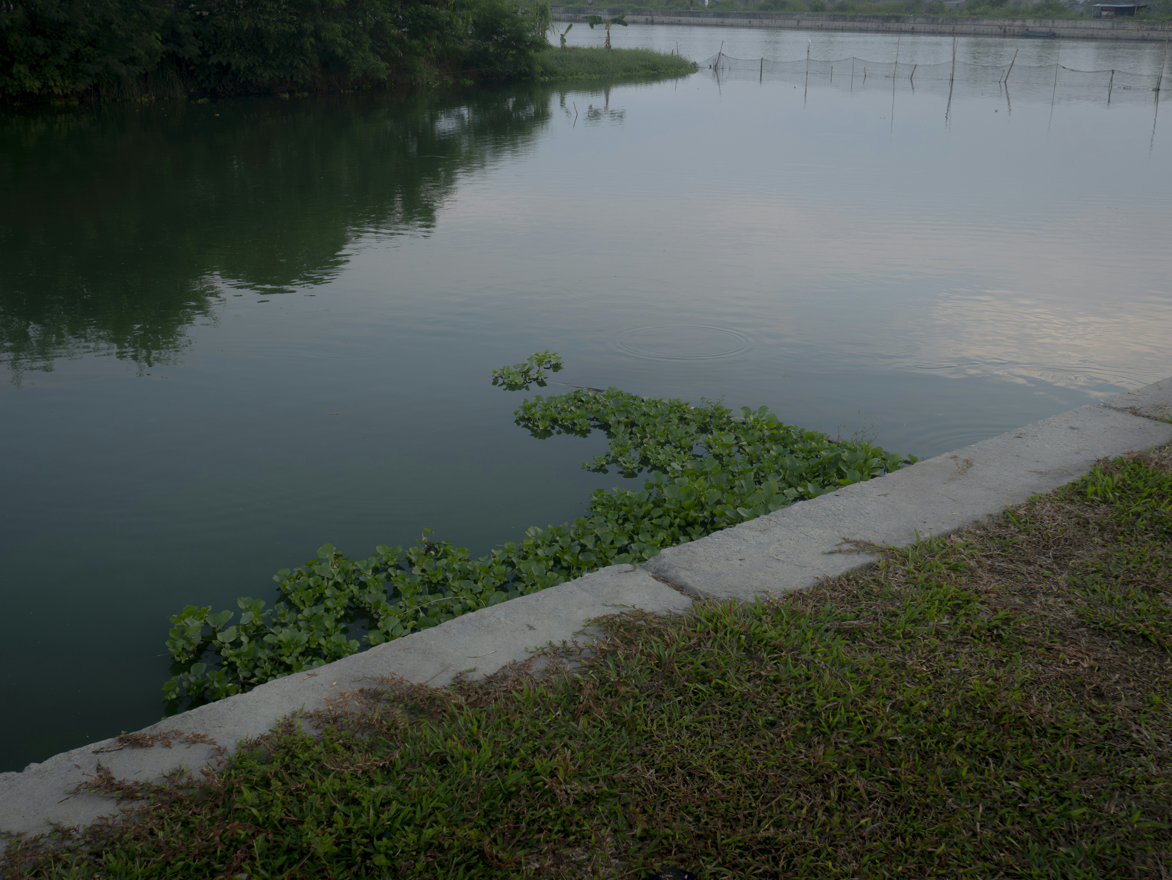 Quiet Riverside Edge: A Concrete Barrier Framing the Calm Water