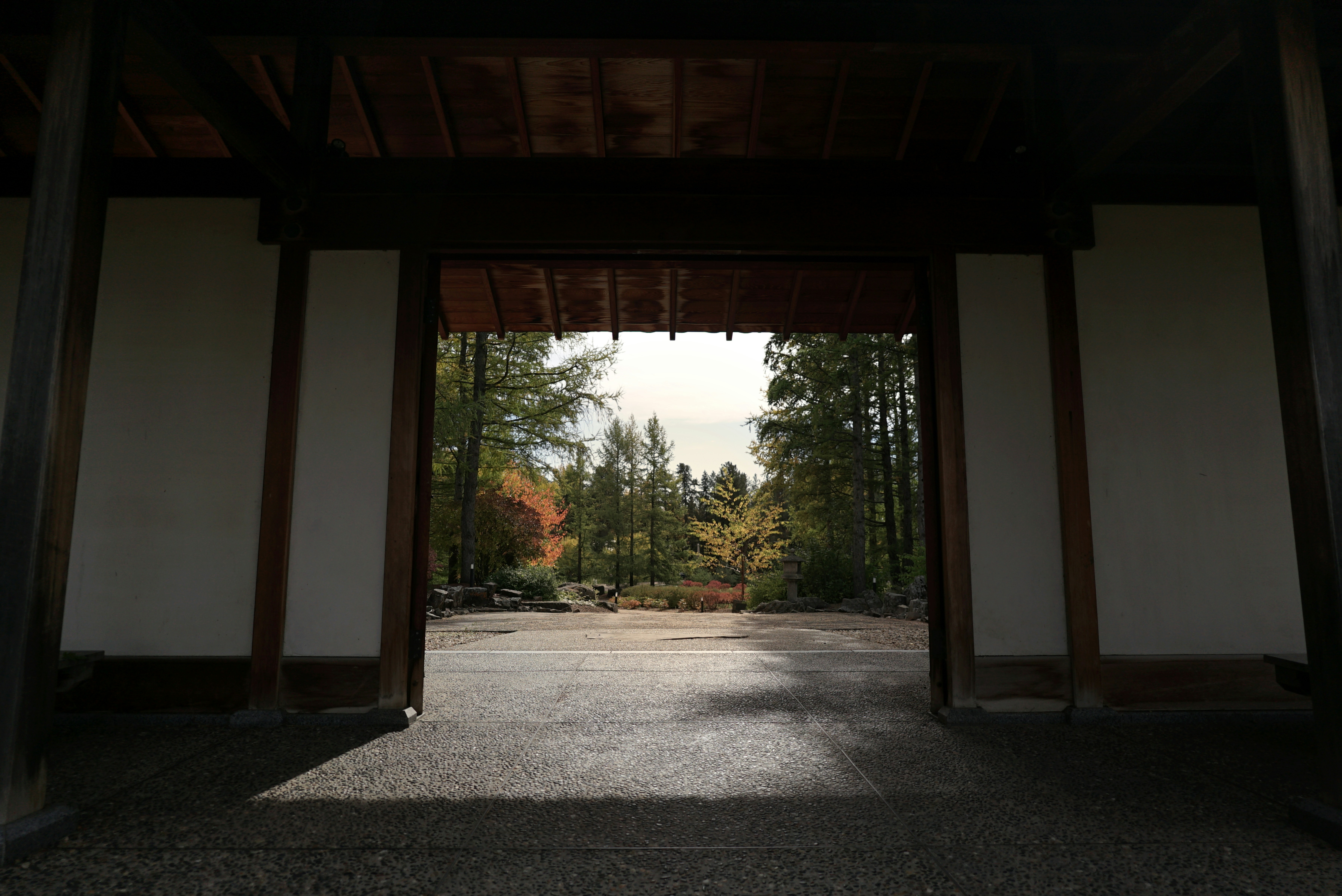 Pathway Through a Dimensional Gate into Autumn Light