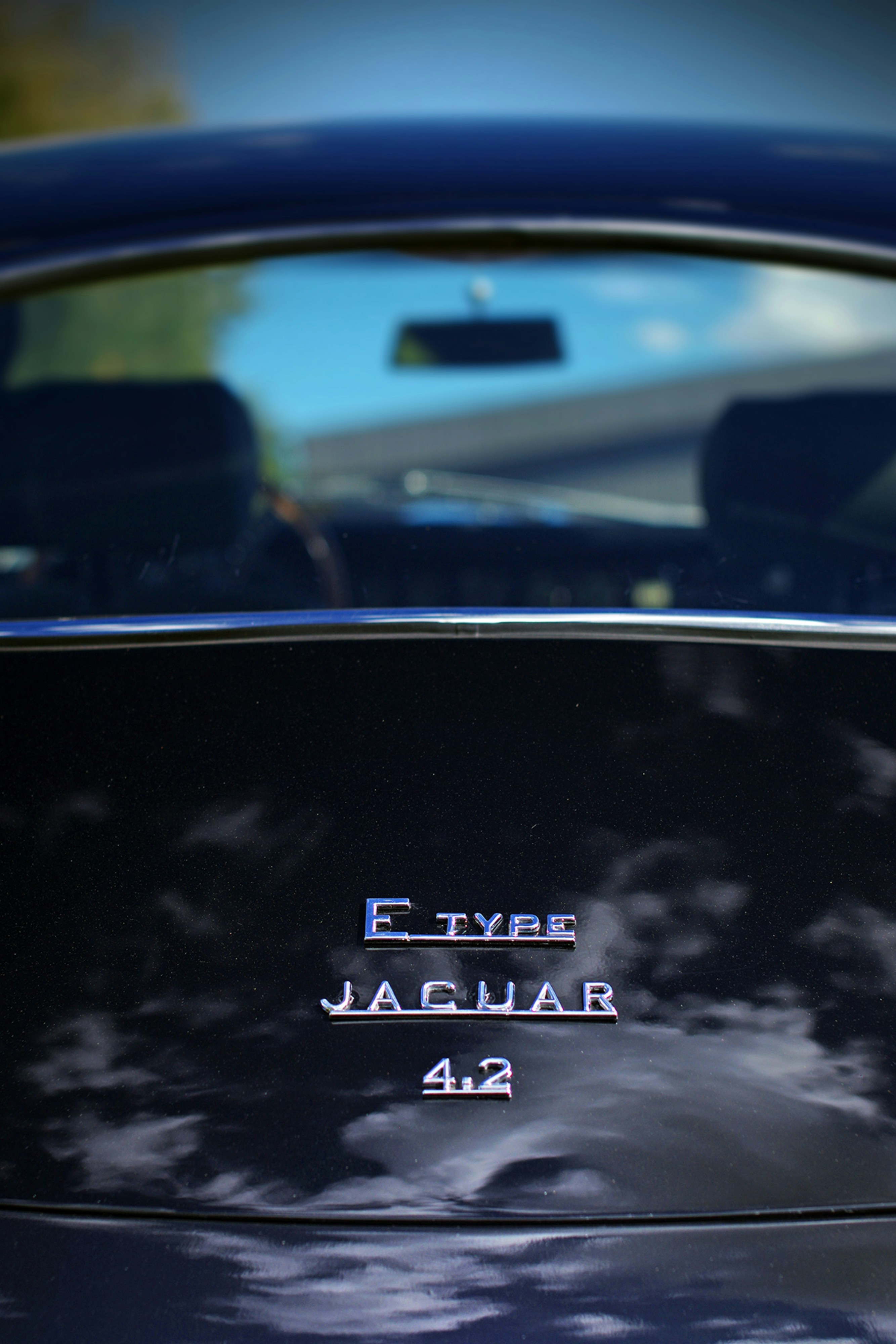 Chrome Emblem on a Sleek Jaguar: Quiet Power Backlit by Sky